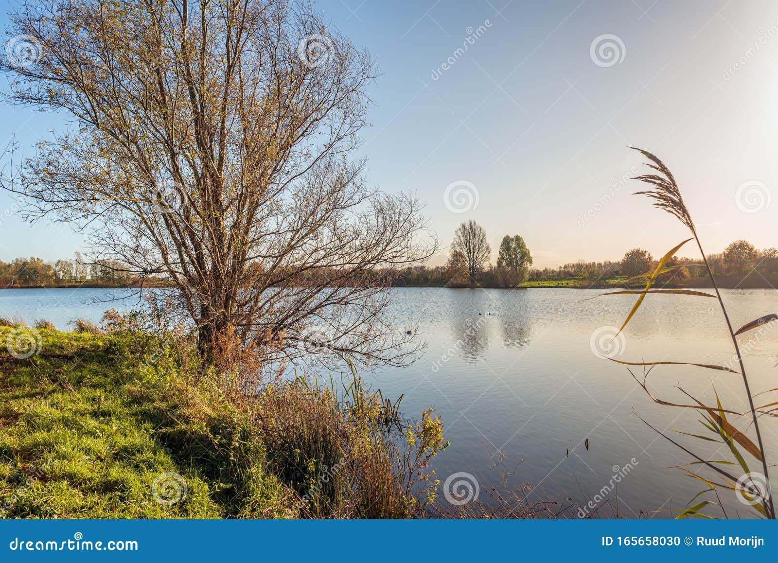 View over a lake stock photo. Image of landscape, blue - 165658030