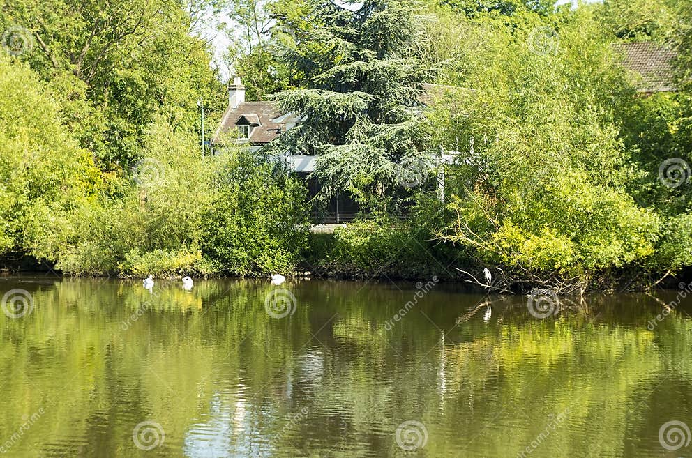 View Over a Lake on a Sunny Day Stock Image - Image of clear, idyllic ...