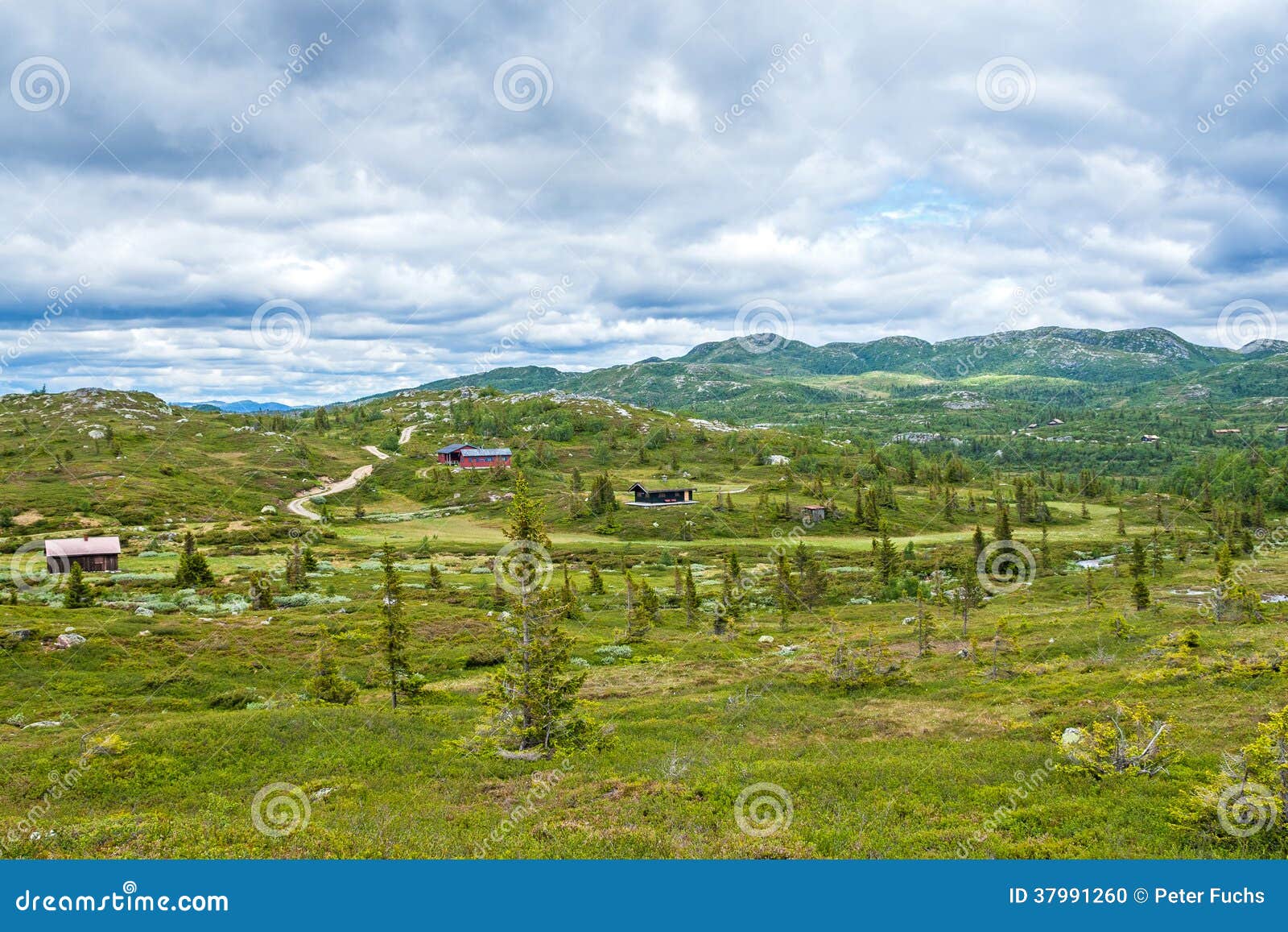 View over Norway landscape stock photo. Image of forest - 37991260