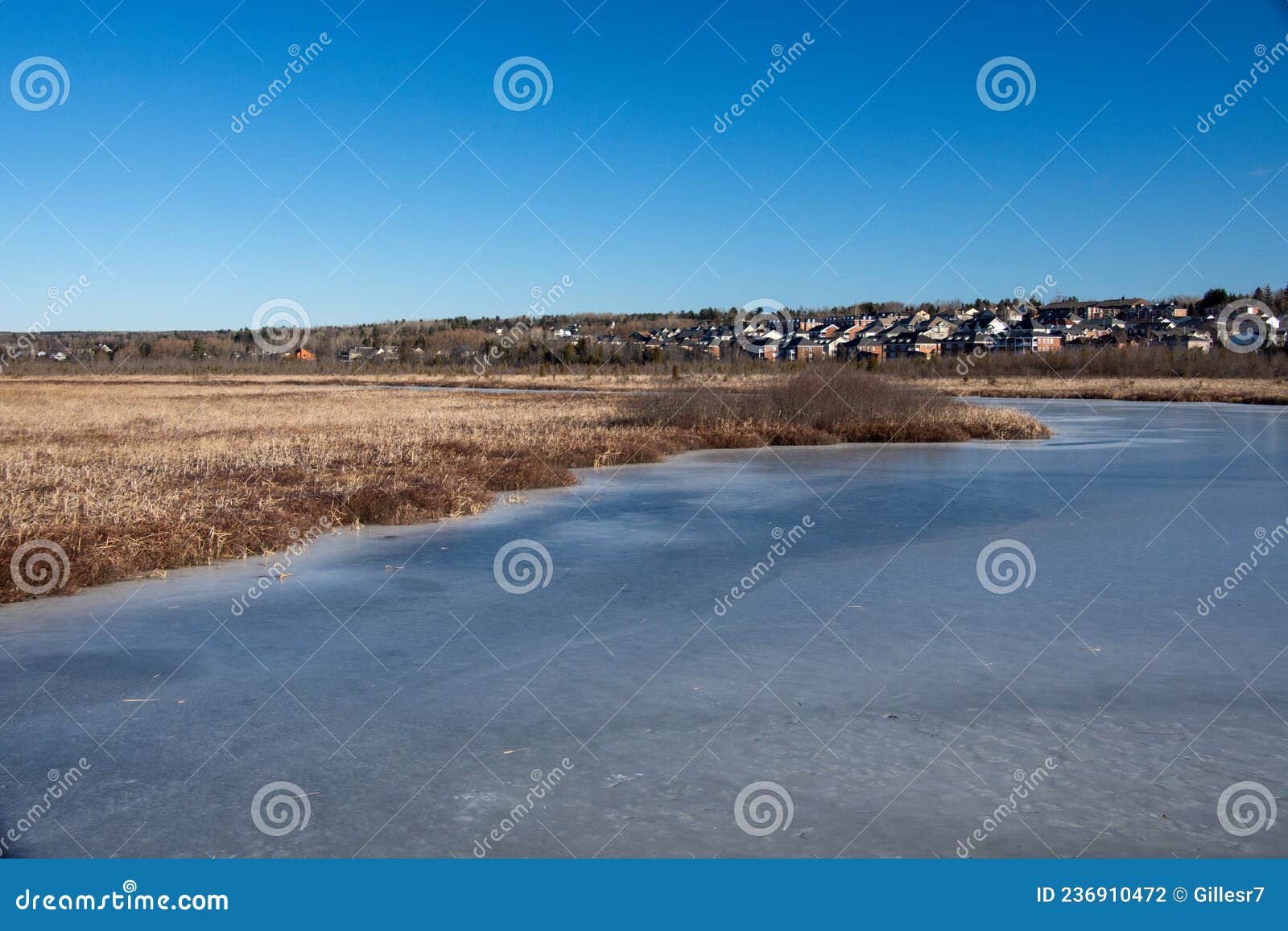 View Over Part of the Cherry River Swamp Editorial Photography - Image ...