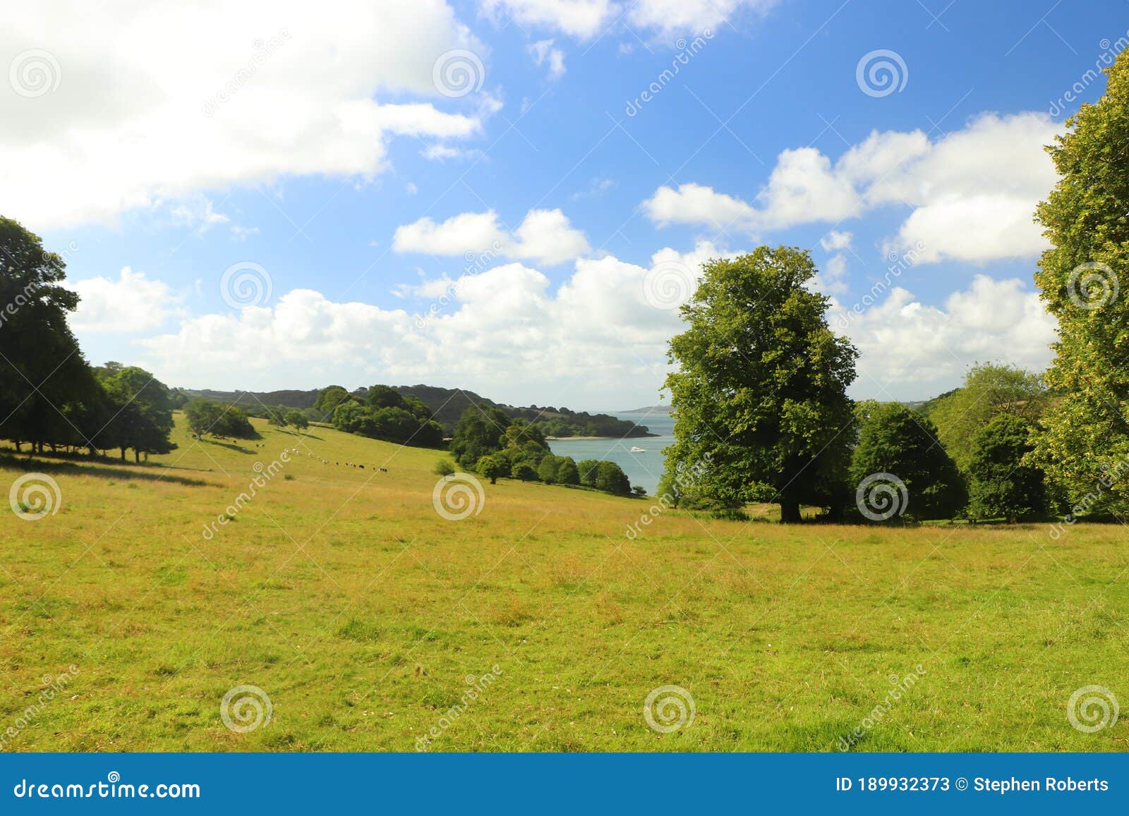 View Over the River Fal from the Meadows of Trelissick Gardens Stock ...