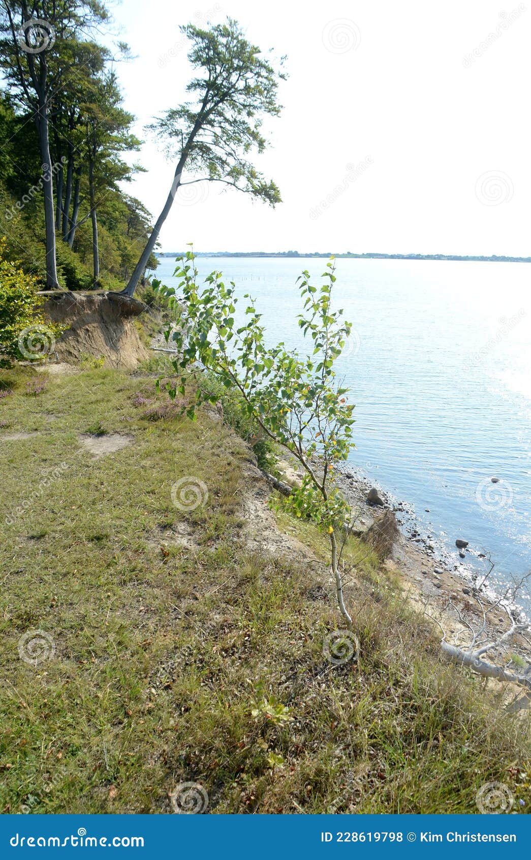 Bad Slope Erosion Stock Photos - Free & Royalty-Free Stock Photos from ...