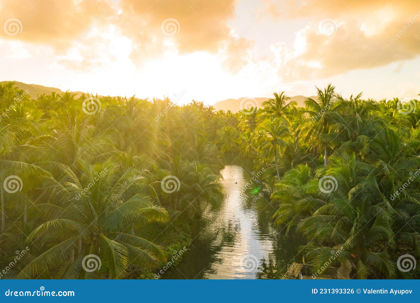 View Over Sunset Over Amazon River with Rainforest in Brazil. Stock ...