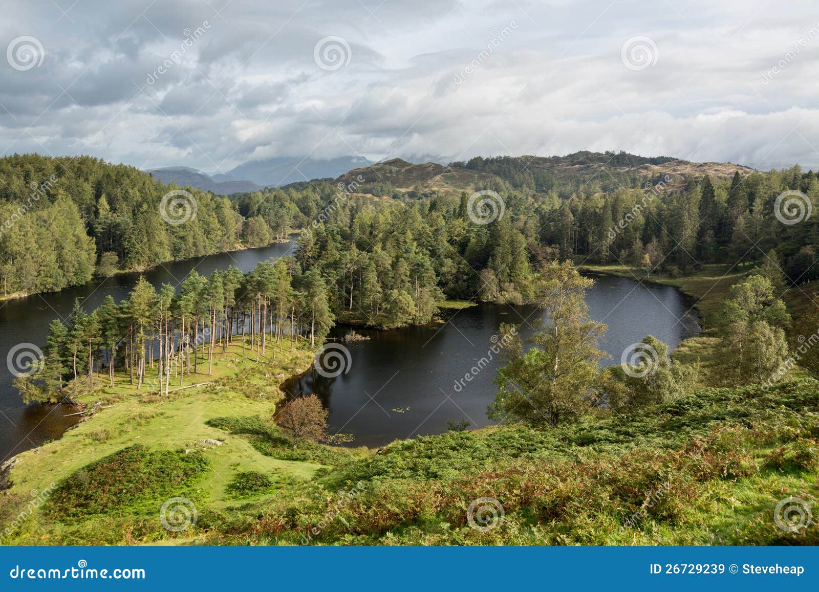 View Over Tarn Hows in English Lake District Stock Image - Image of ...