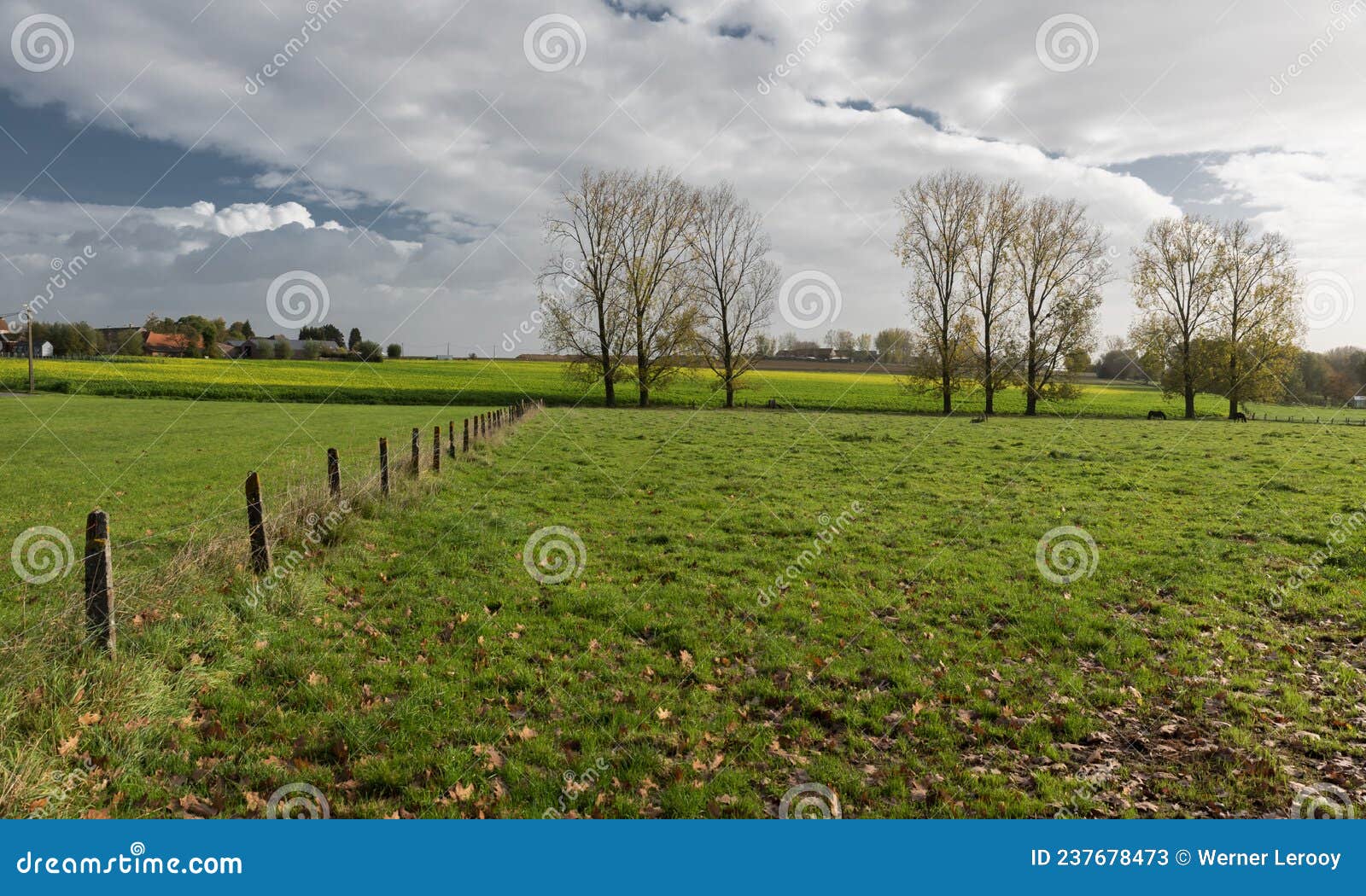 View Over Trees and Meadows at the Belgian Countryside Stock Image ...