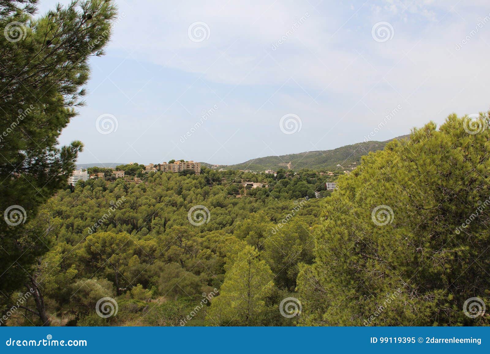 View Over the Trees Palma De Mallorca Spain Stock Image - Image of ...