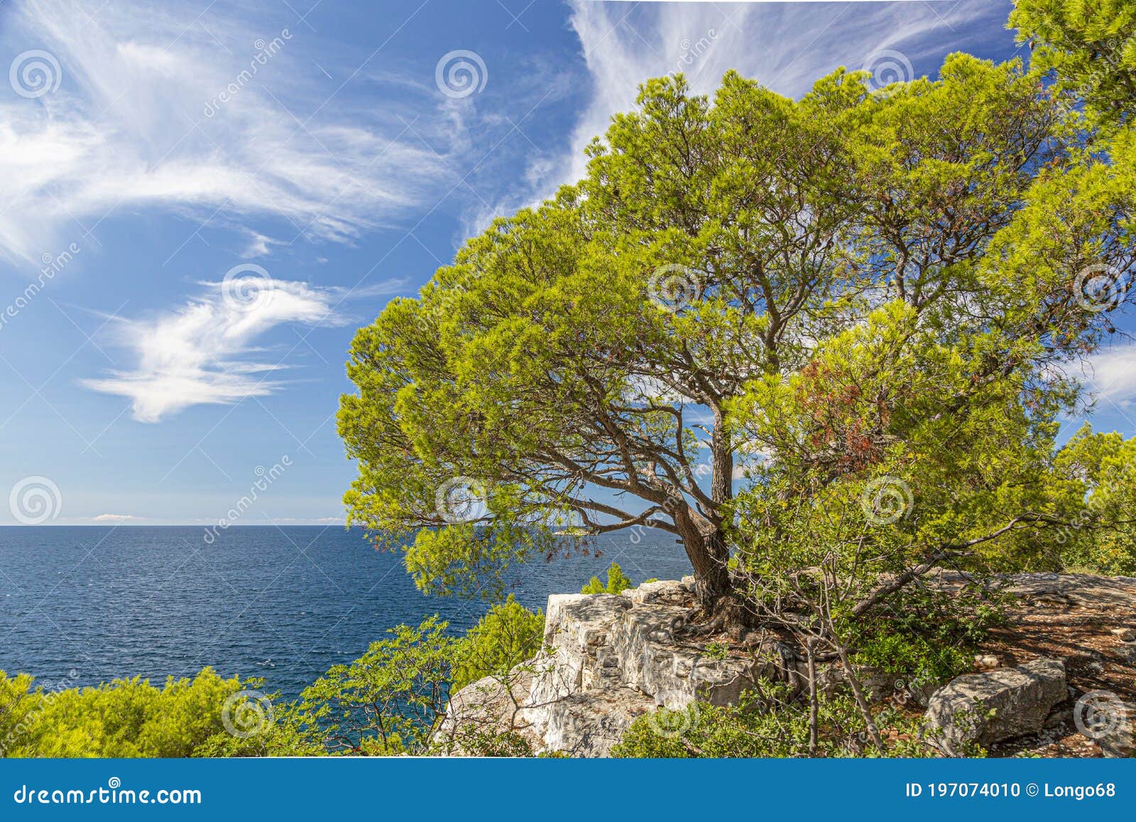 View Over Typical Coast Landscape of Istria in Summer Stock Photo ...