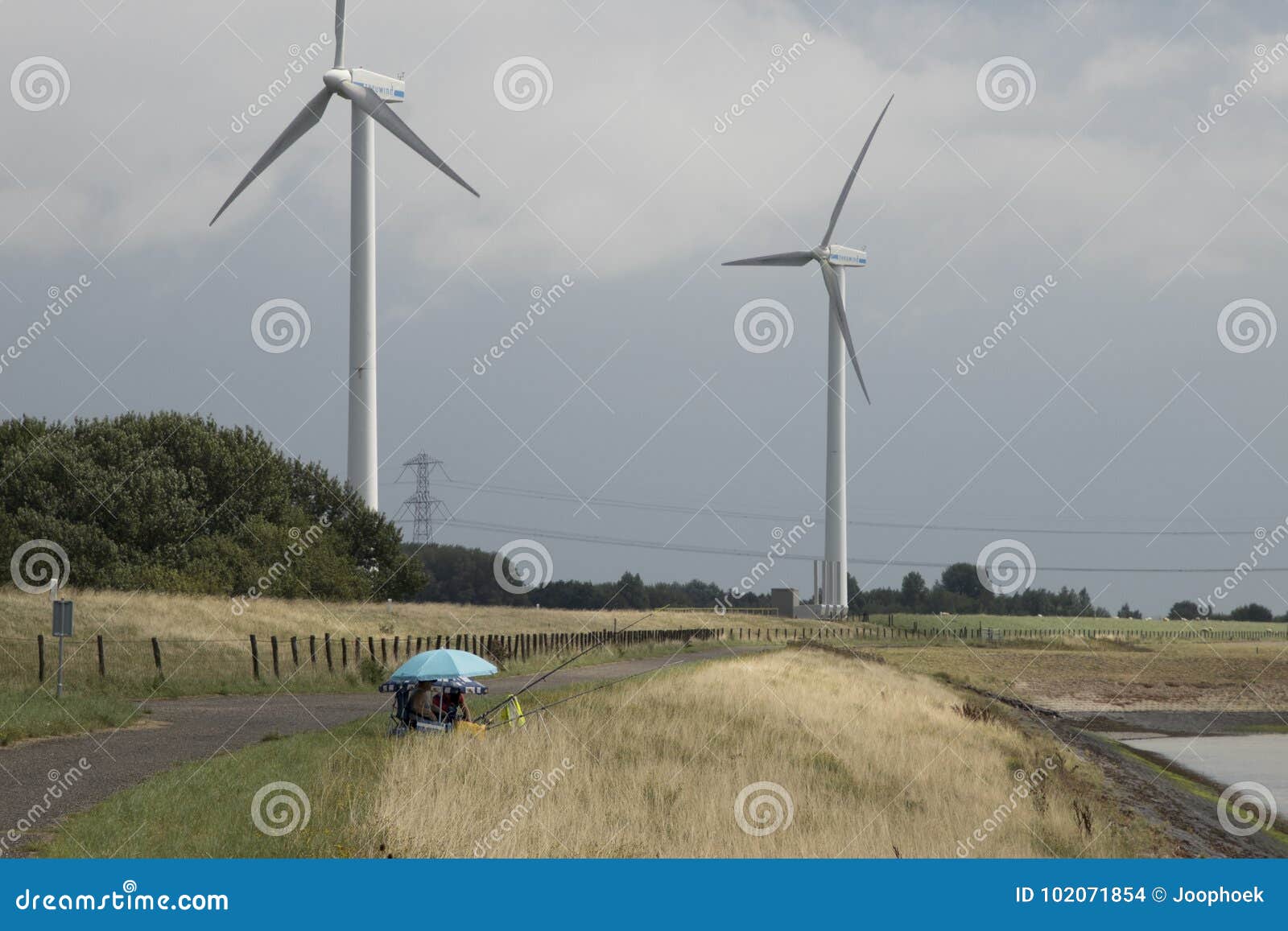 View Over the Western Scheld Editorial Stock Image - Image of plant ...