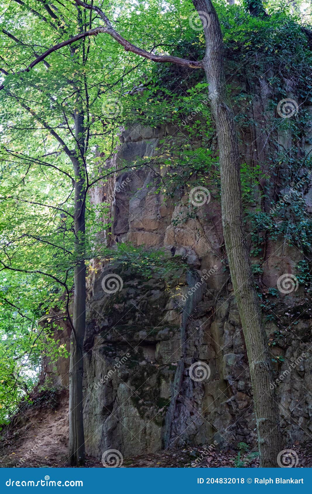 View on a Overgrown Rock Wall in a Forest Stock Photo - Image of hill ...