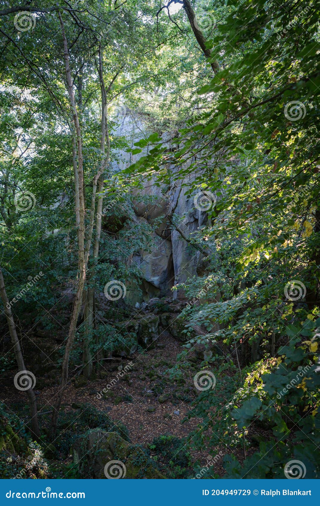 View on a Overgrown Rock Wall in a Forest Stock Image - Image of dusk ...