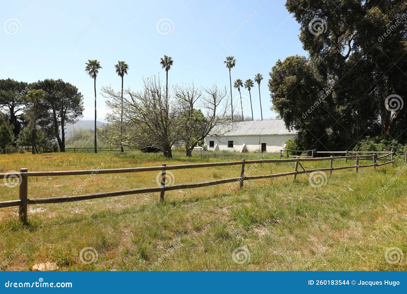 A View of a Paddock with Green Grass and Palm Trees in the Distance ...