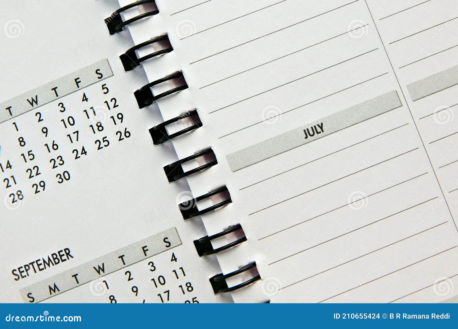 View of Pages in Spiral Bound Monthly Activity Planner Book or Diary ...