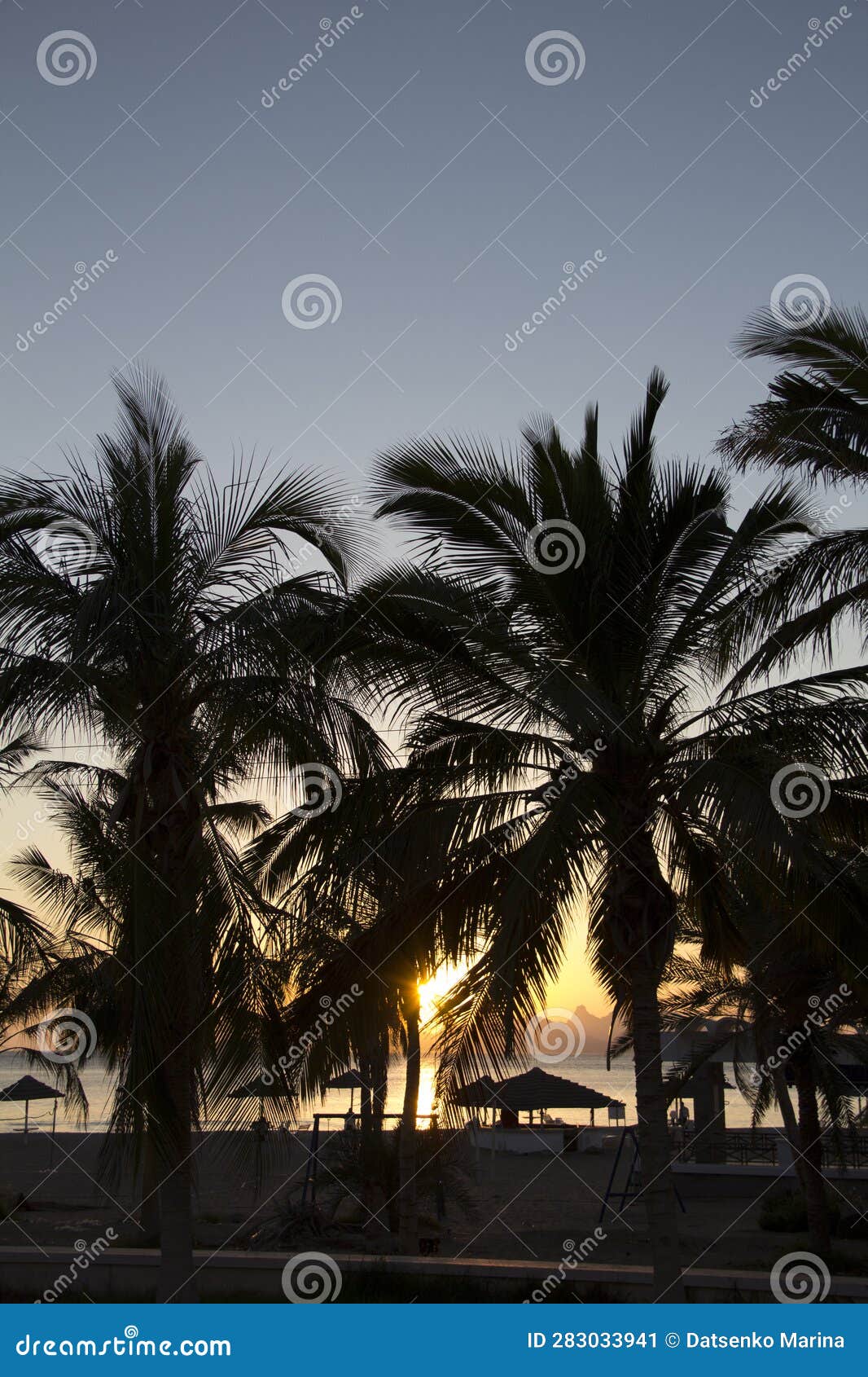 View of Palm Trees on a Tropical Beach Stock Image - Image of tropical ...