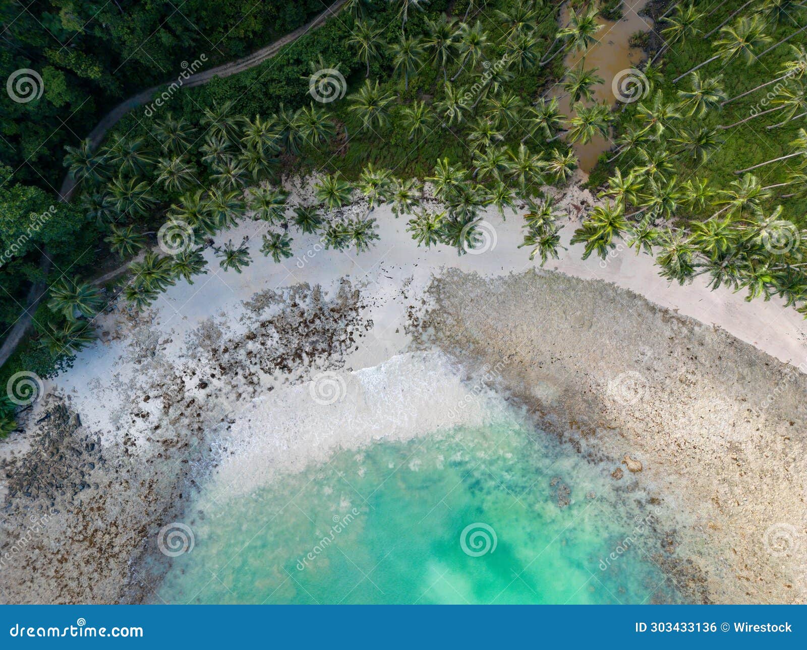 A View of Palm Trees in a Tropical Paradise Setting from Above: Port ...
