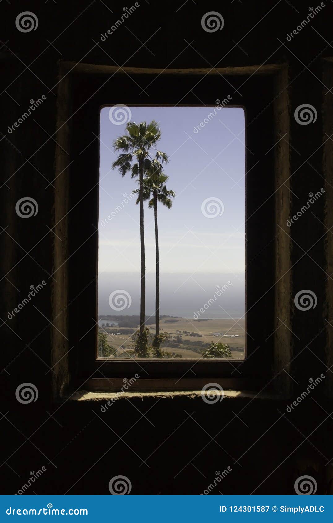 View of the Palms and the Ocean through the Window of the C Stock Image ...