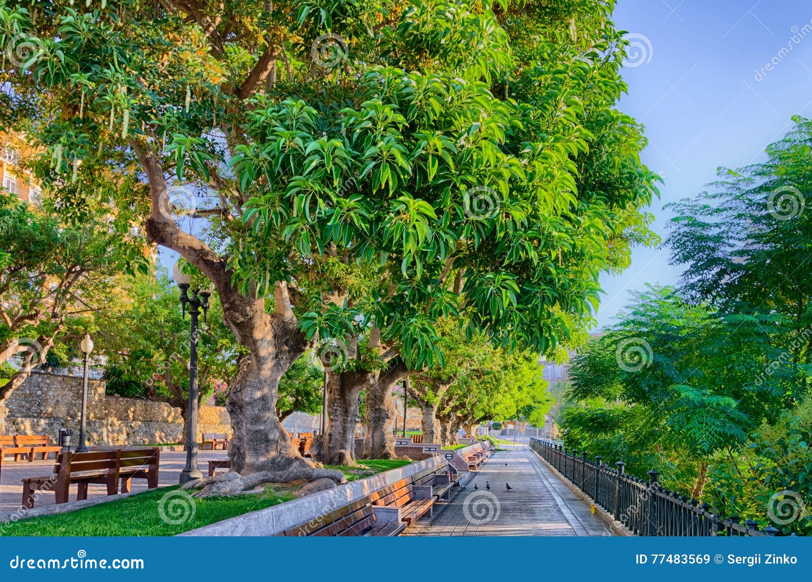 View on the Park with Exotic Trees Mediterranean Balcony in Tarragona ...