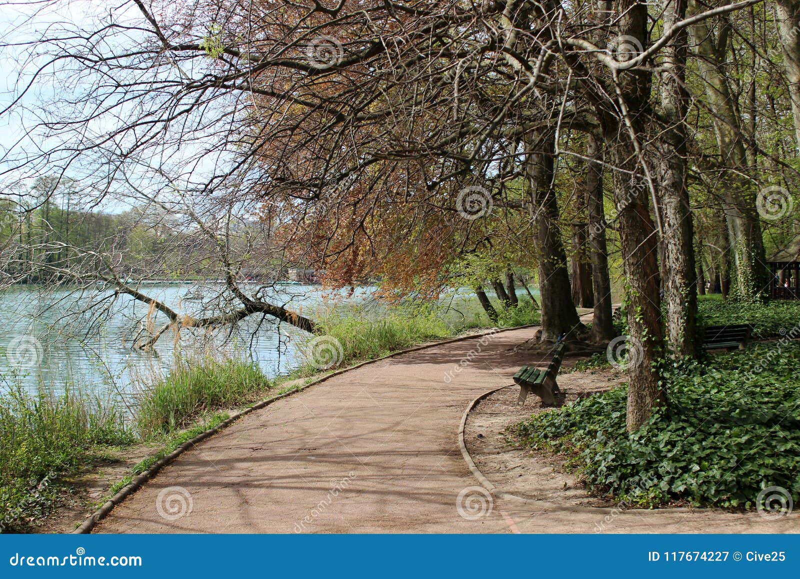 View of the park of lyon stock image. Image of grass - 117674227
