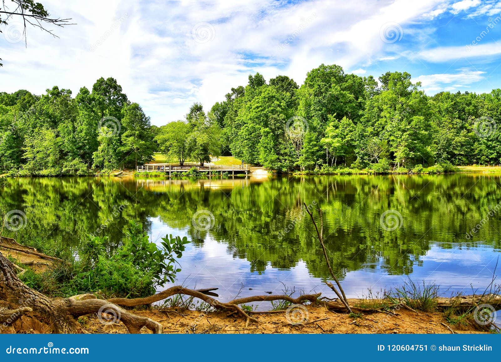 View at the park stock image. Image of park, beauty - 120604751