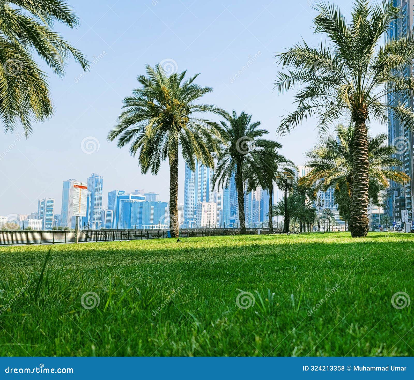 View from a Park Overlooking the Skyline of UAE Stock Photo - Image of ...