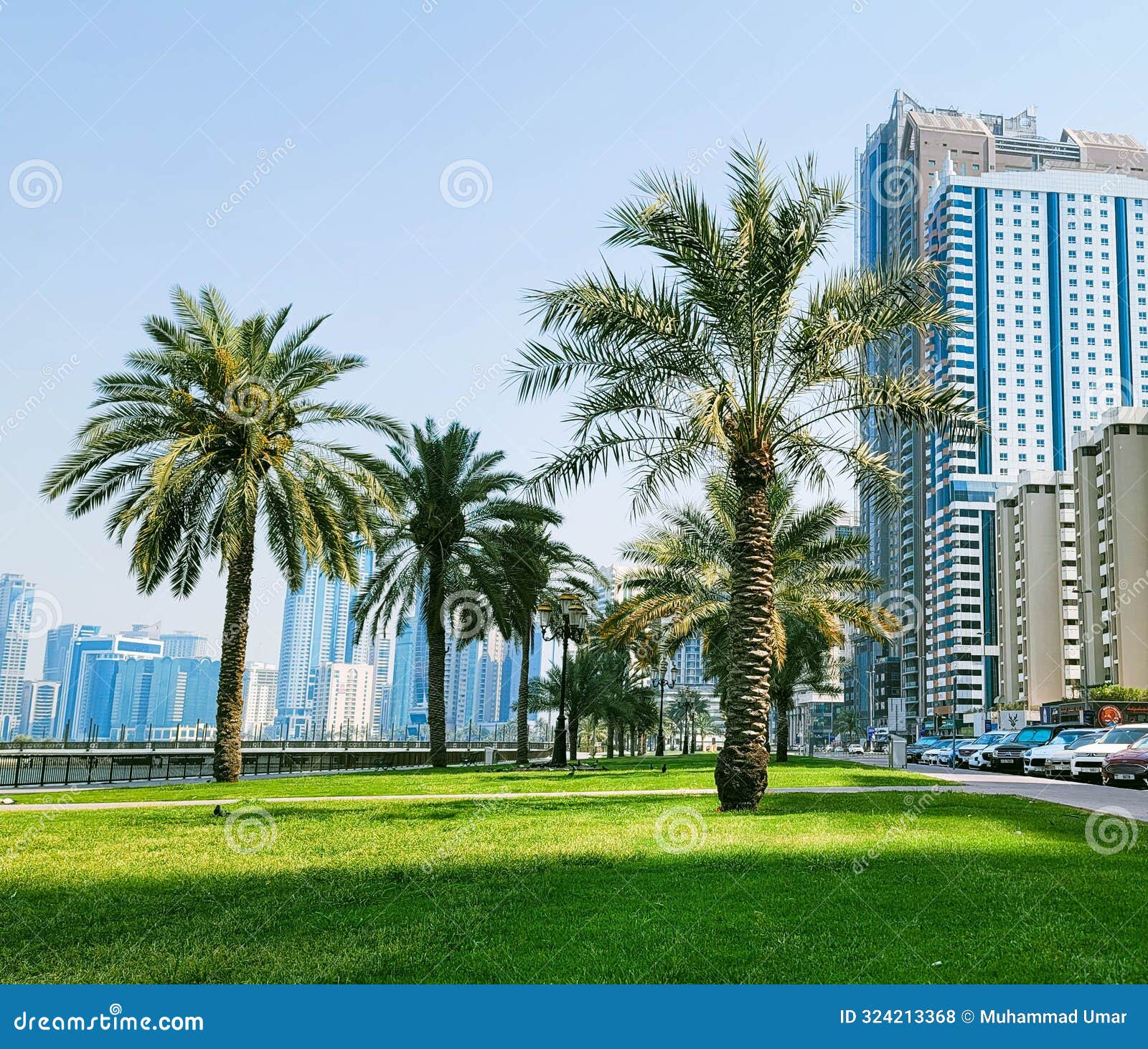 View from a Park Overlooking the Skyline of UAE Stock Photo - Image of ...