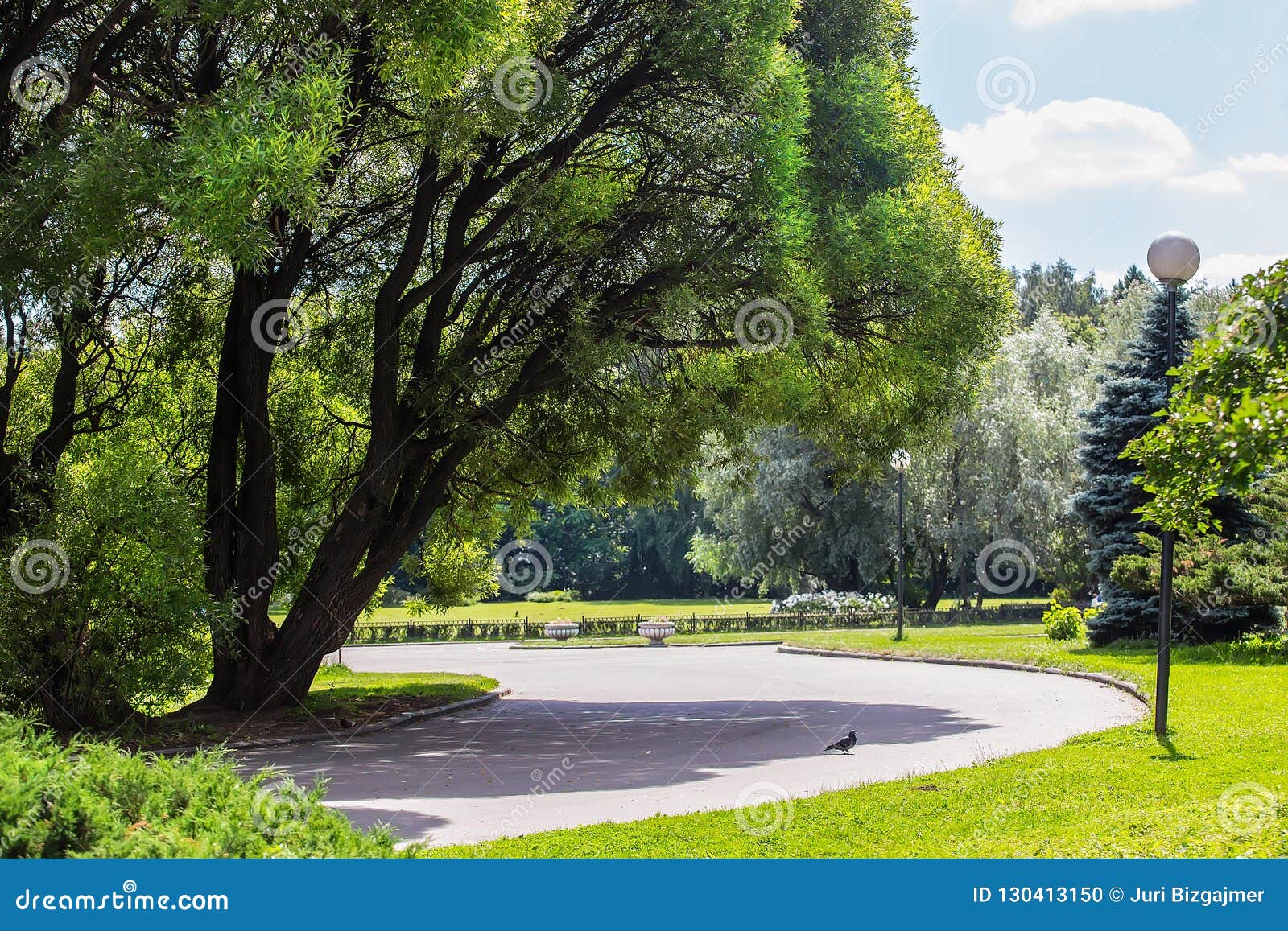 View of the Park with Walking Paths Stock Photo - Image of green ...