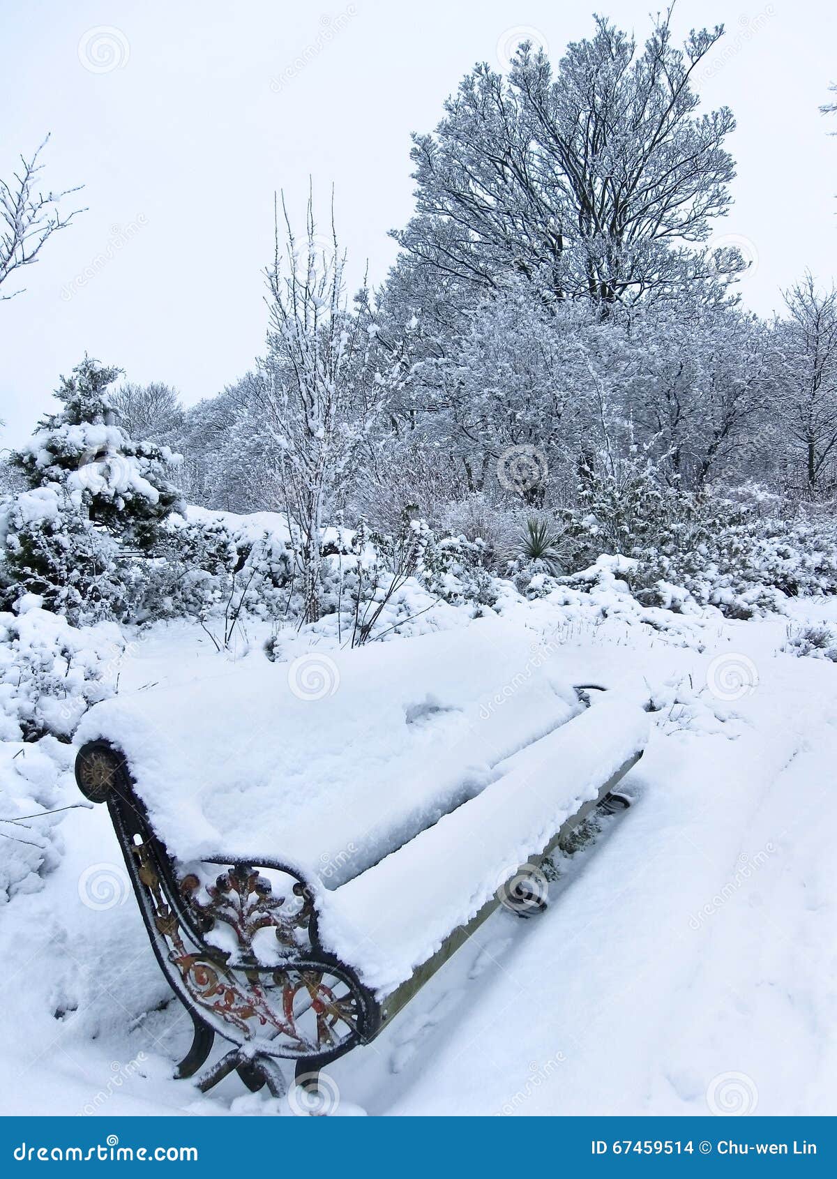 View of a park in winter stock photo. Image of personal - 67459514