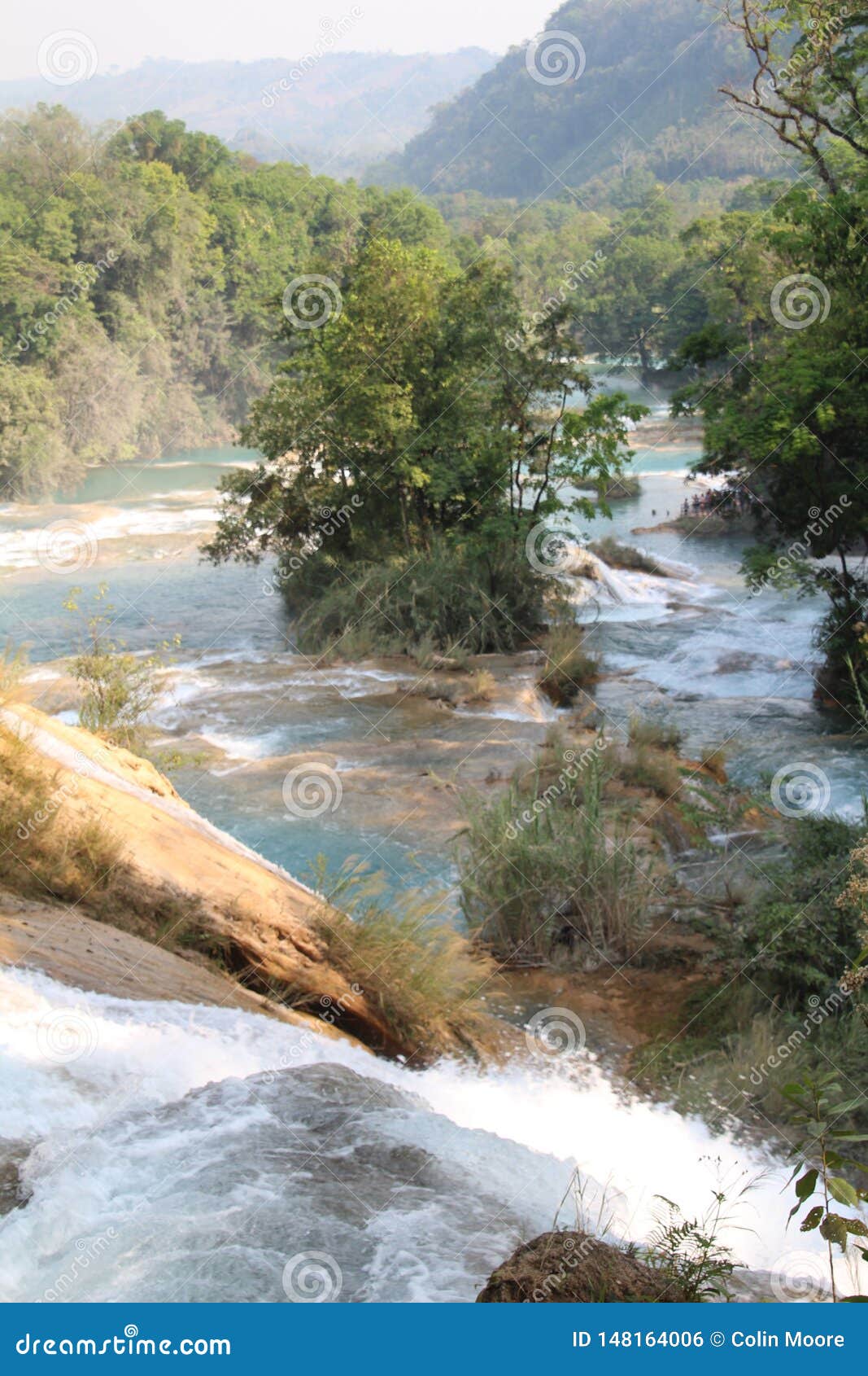 Agua Azul falls in Mexico stock photo. Image of azul - 148164006