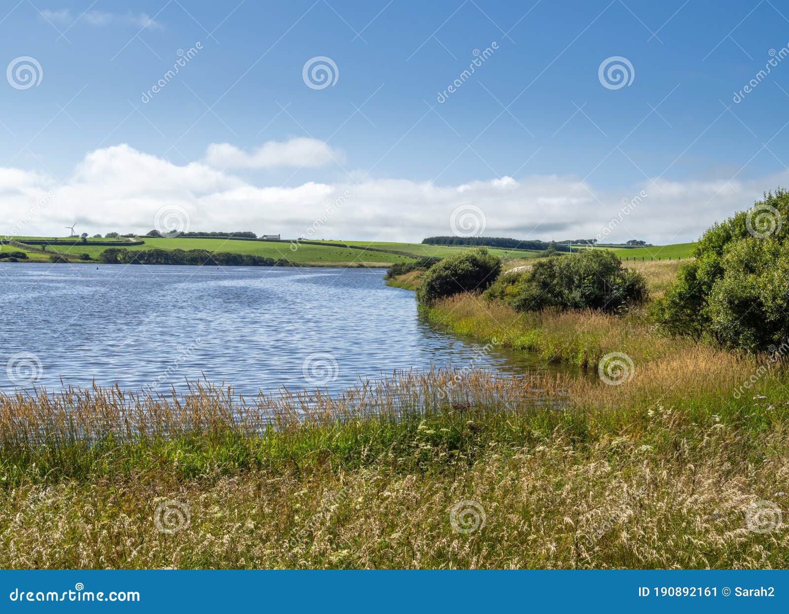 View from the Path Around Upper Tamar Lake, on the Devon / Cornwall ...
