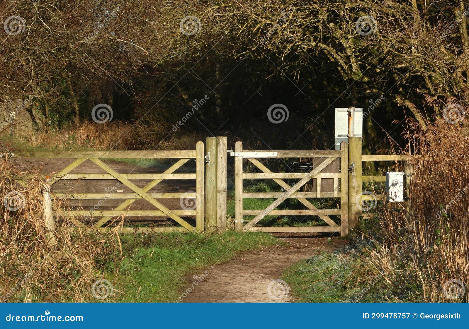 View of Path and Gate Out of Nature Reserve Stock Image - Image of ...