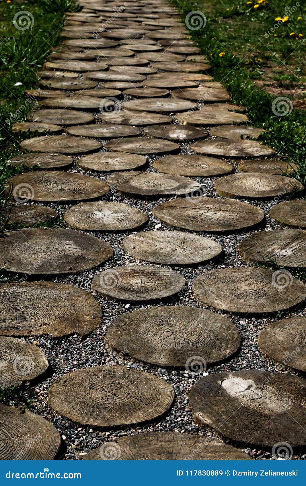 View of the Path Lined with Wooden Circles, Background Stock Image ...