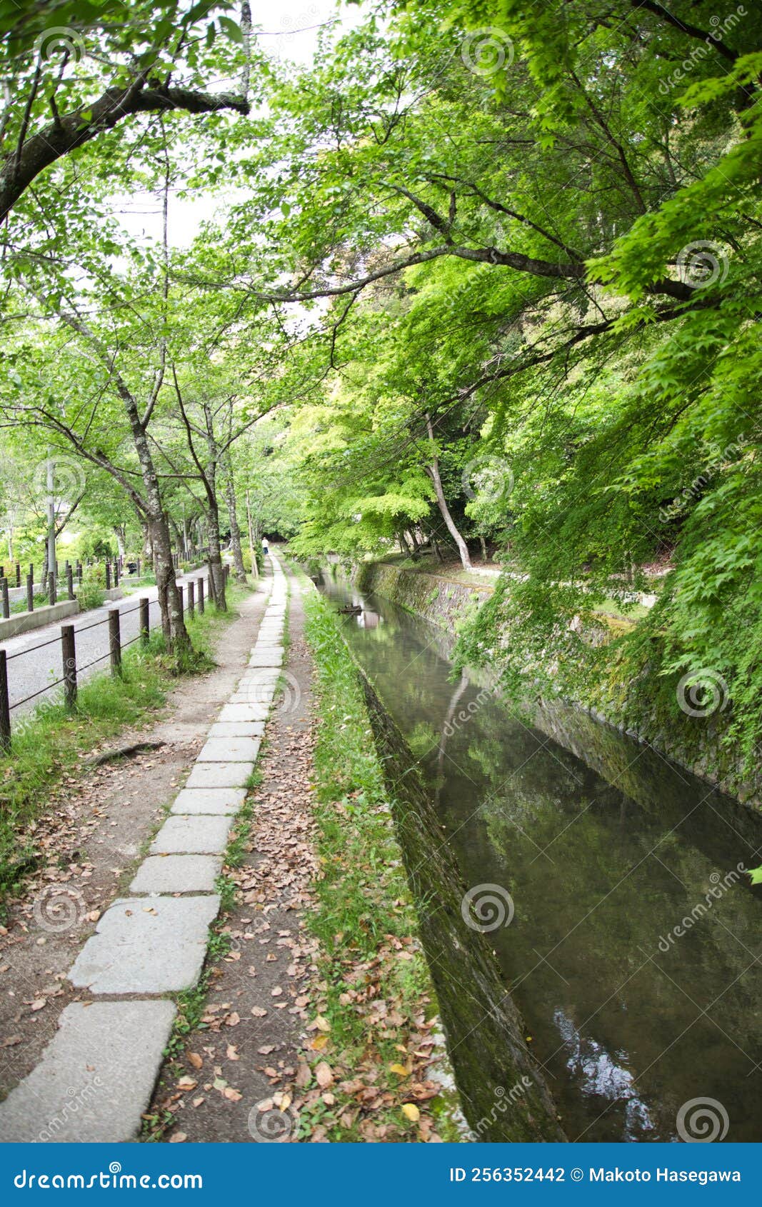 A View of the Path of Philosophy in Springtime. Kyoto Japan Stock Photo ...