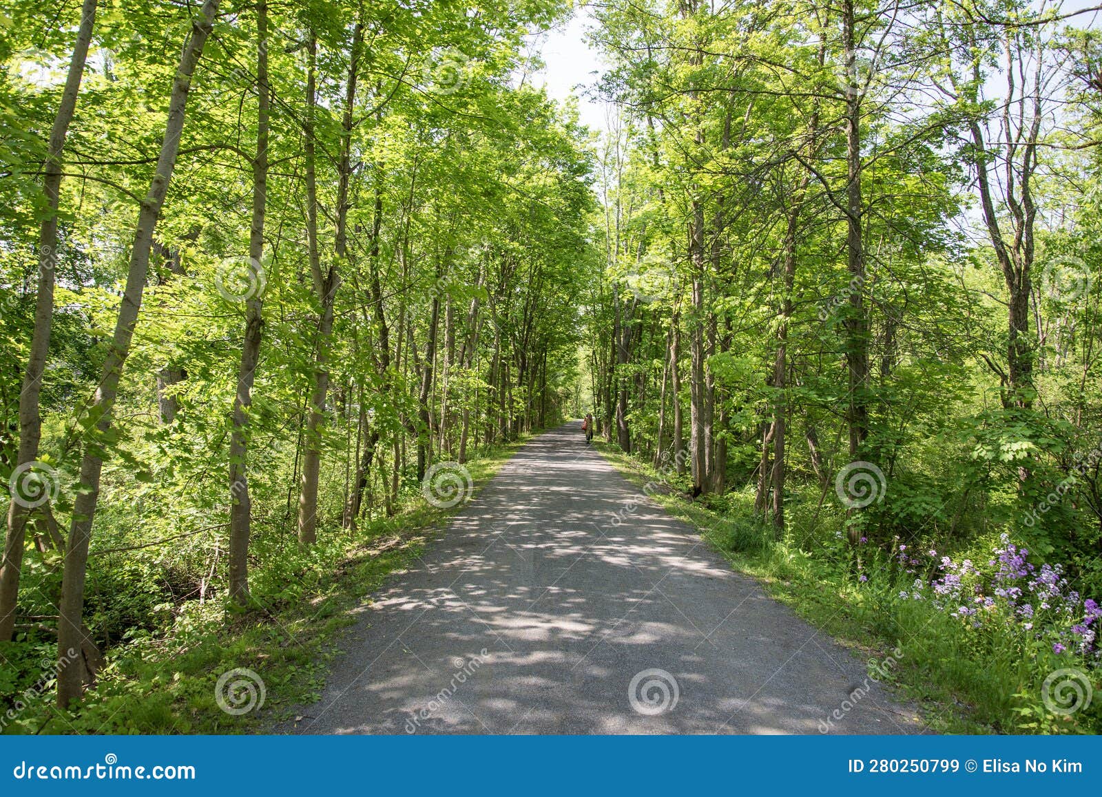 A path in the trails stock image. Image of rural, leaf - 280250799