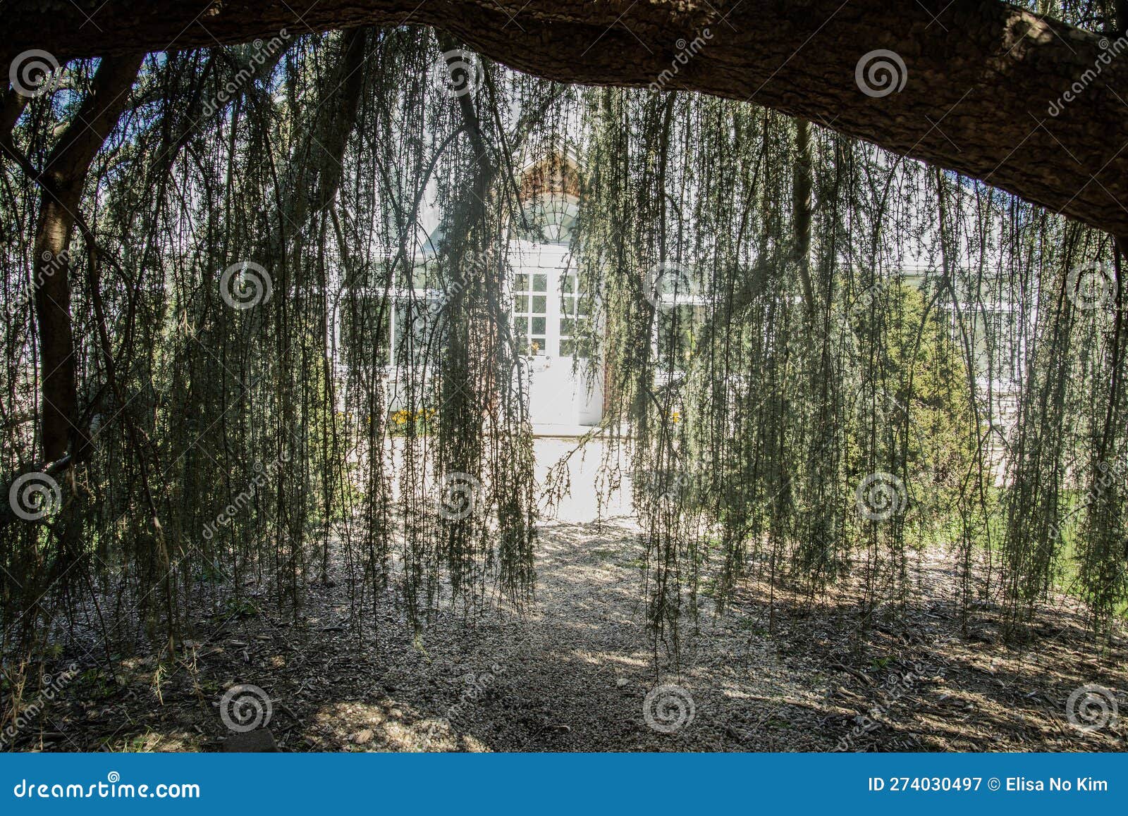 A Natural path stock image. Image of landscape, light - 274030497