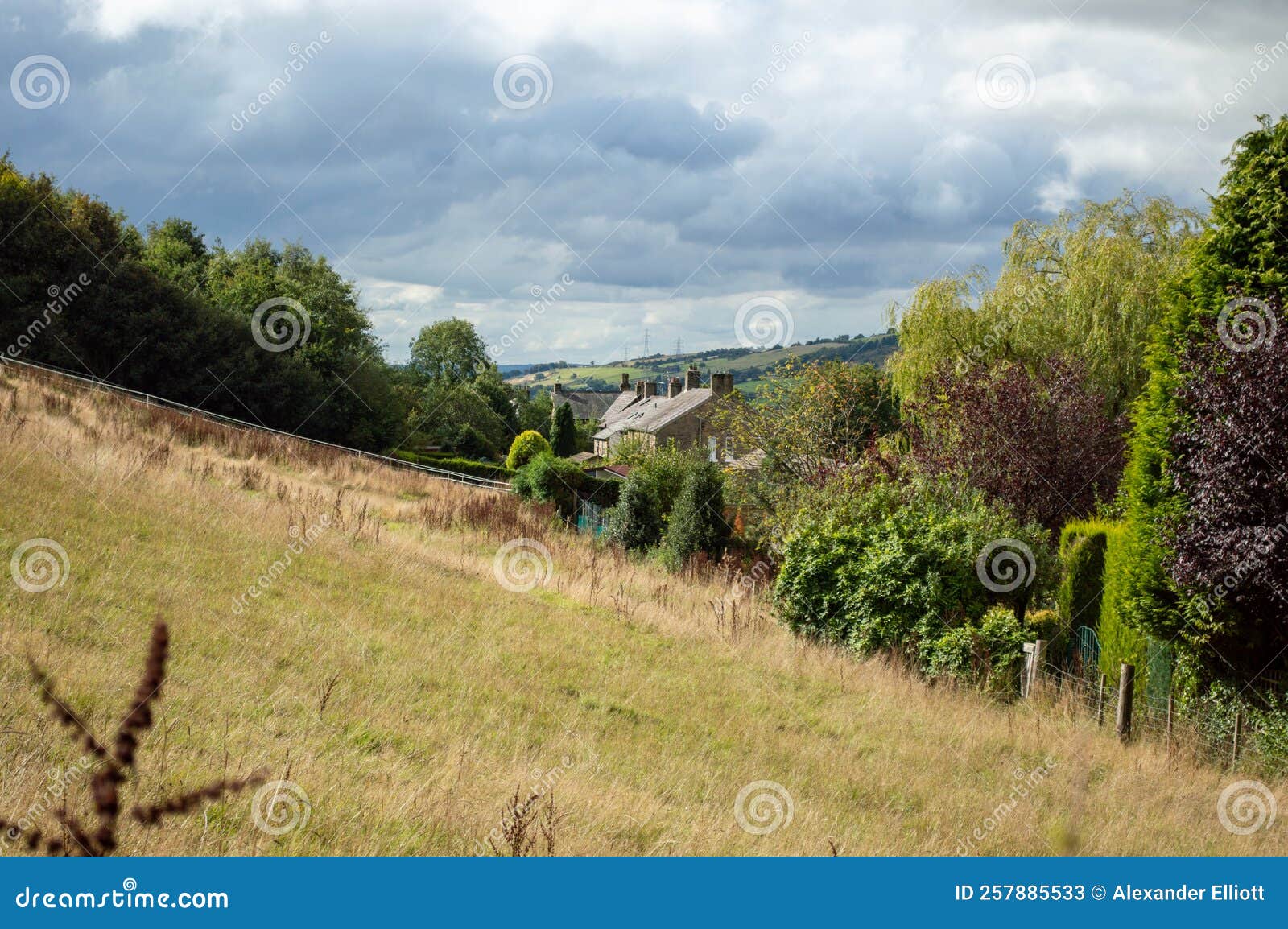 A View of Hills, a Field, Trees and Houses from the Side of a Hill ...