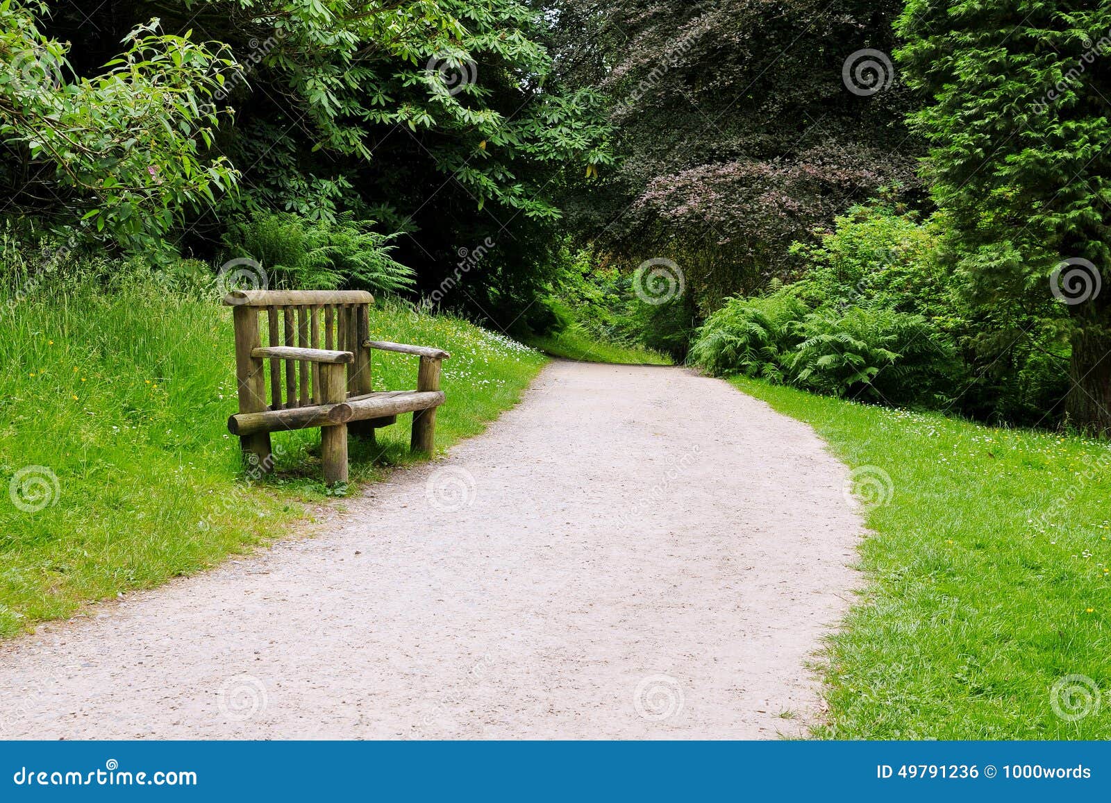 View of a Path and Wooden Bench on Forest Trail Stock Photo - Image of ...