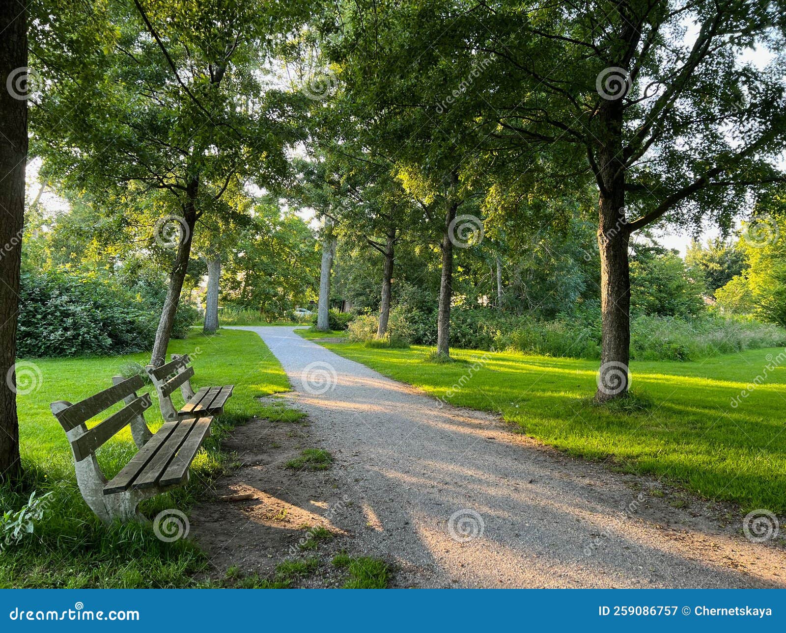 View of Pathway Going through Park with Beautiful Green Plants Stock ...