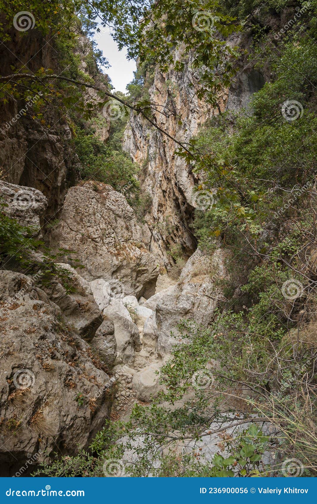 View of the Patsos Gorge, Crete, Greece Stock Photo - Image of gorge ...