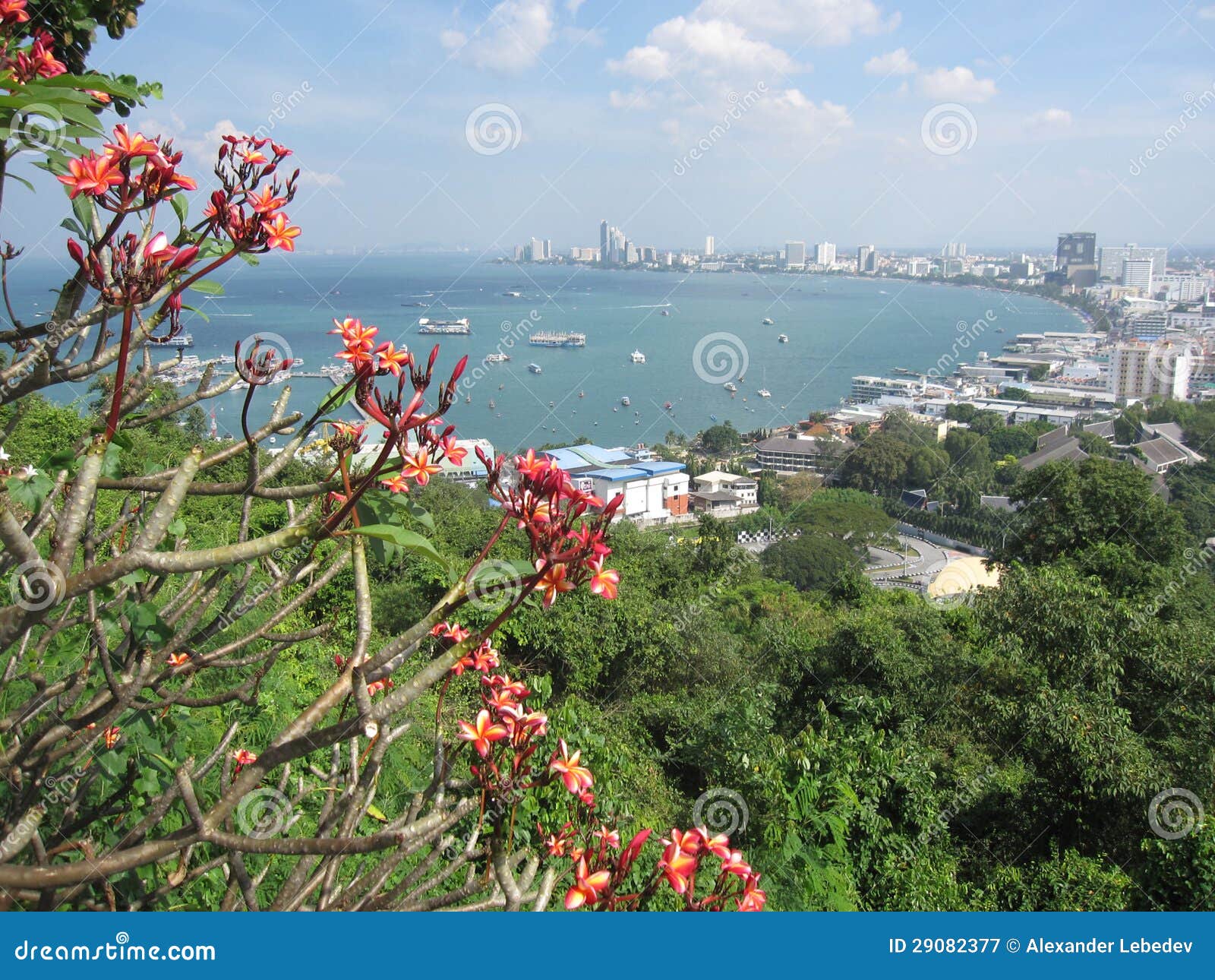 View on Pattaya stock image. Image of thailand, panoramic - 29082377