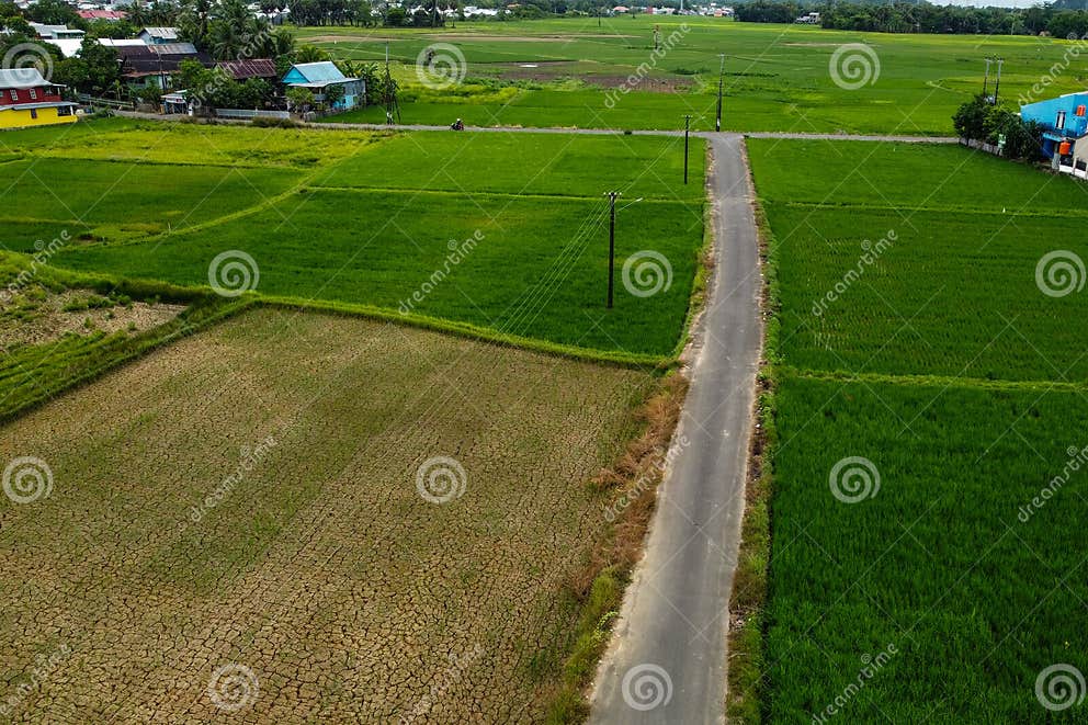View of the Paved Road at the Edge of the Rice Fields Stock Image ...