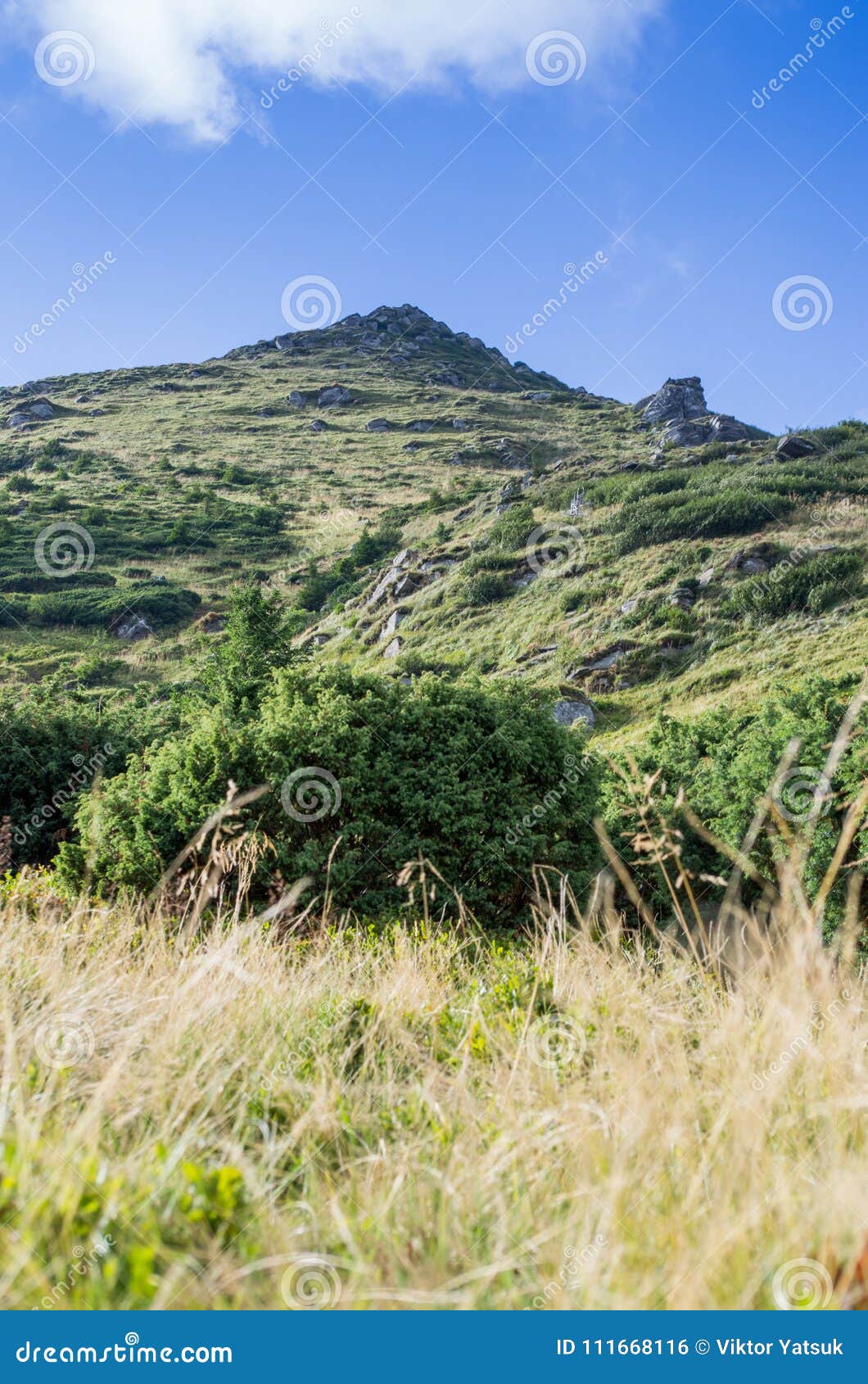 View of the Peak of the Mountain. Way To the Mountains. Front ...