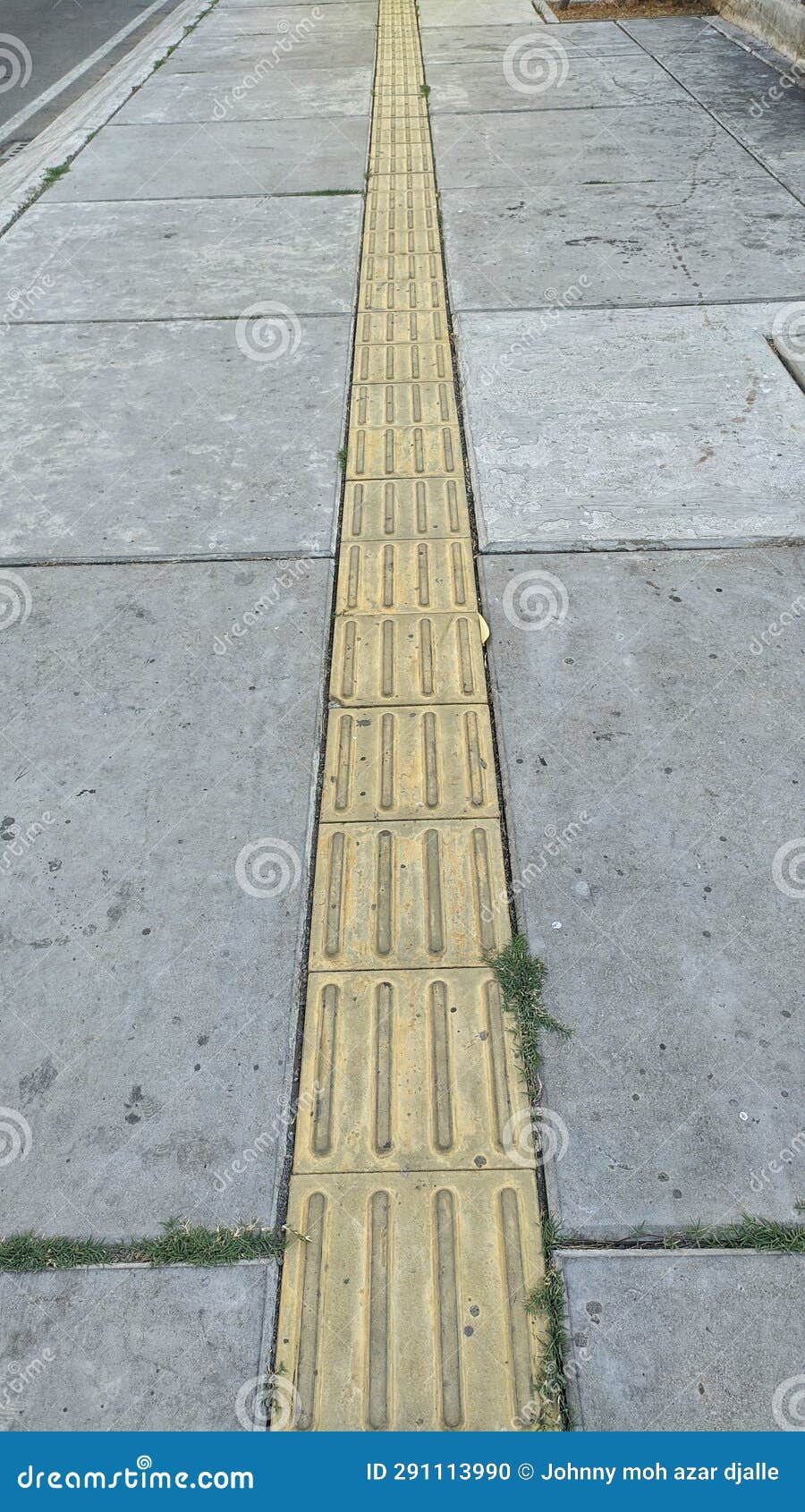 Sidewalk Area Going Through A Cable-stayed Bridge With Big Steel Cables ...