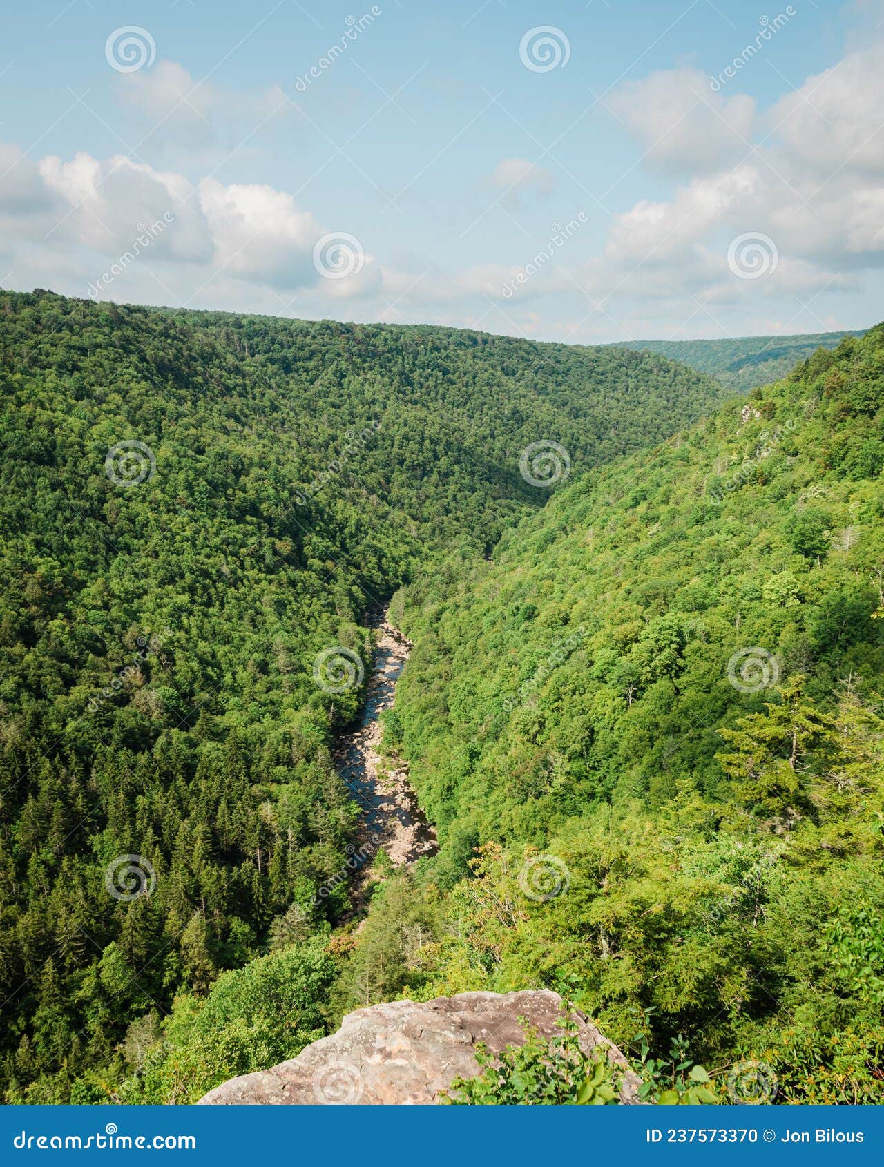 View from Pendleton Point, at Blackwater Falls State Park in Davis ...