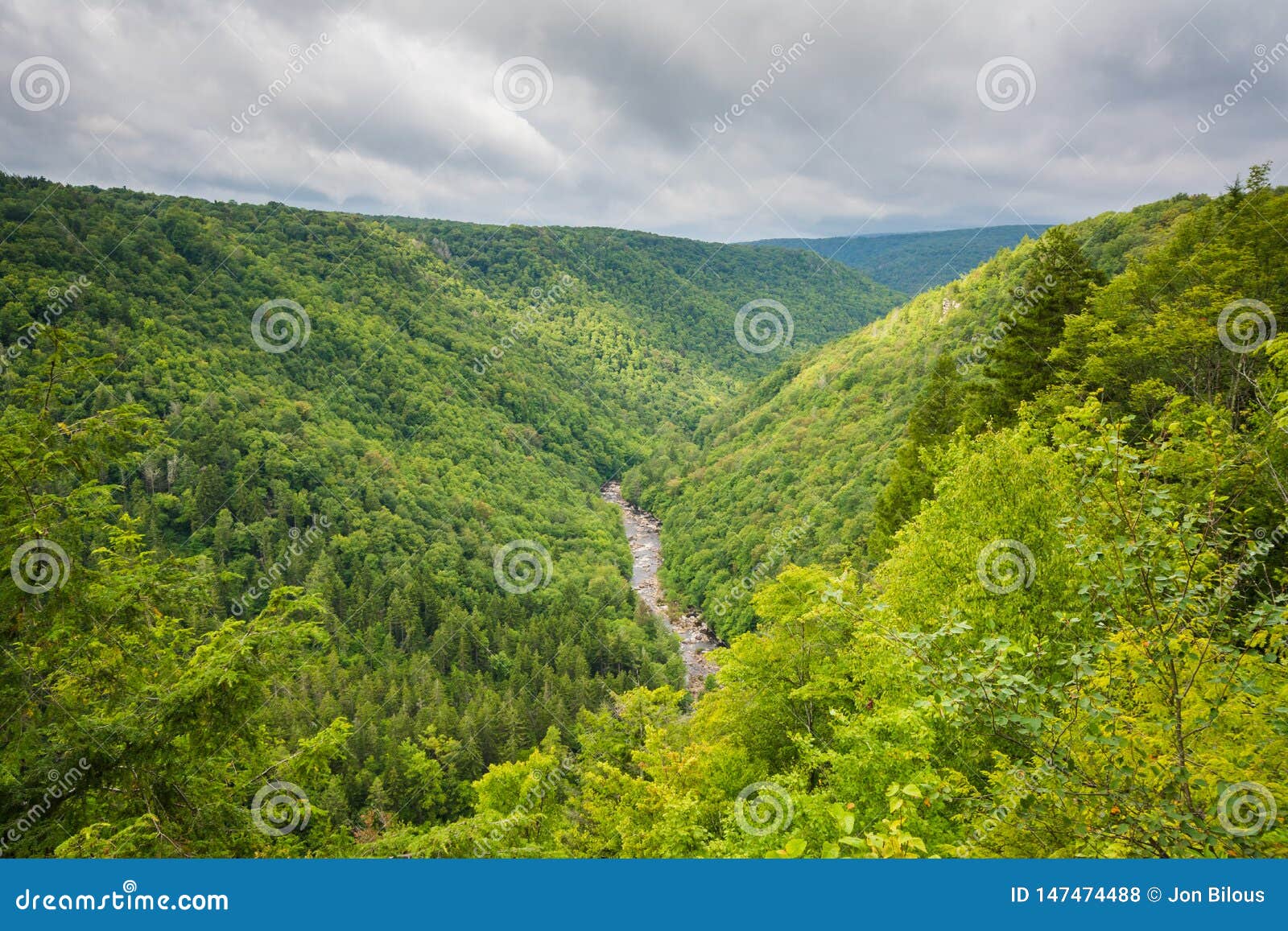 View from Pendleton Point, in Blackwater Falls State Park, West ...