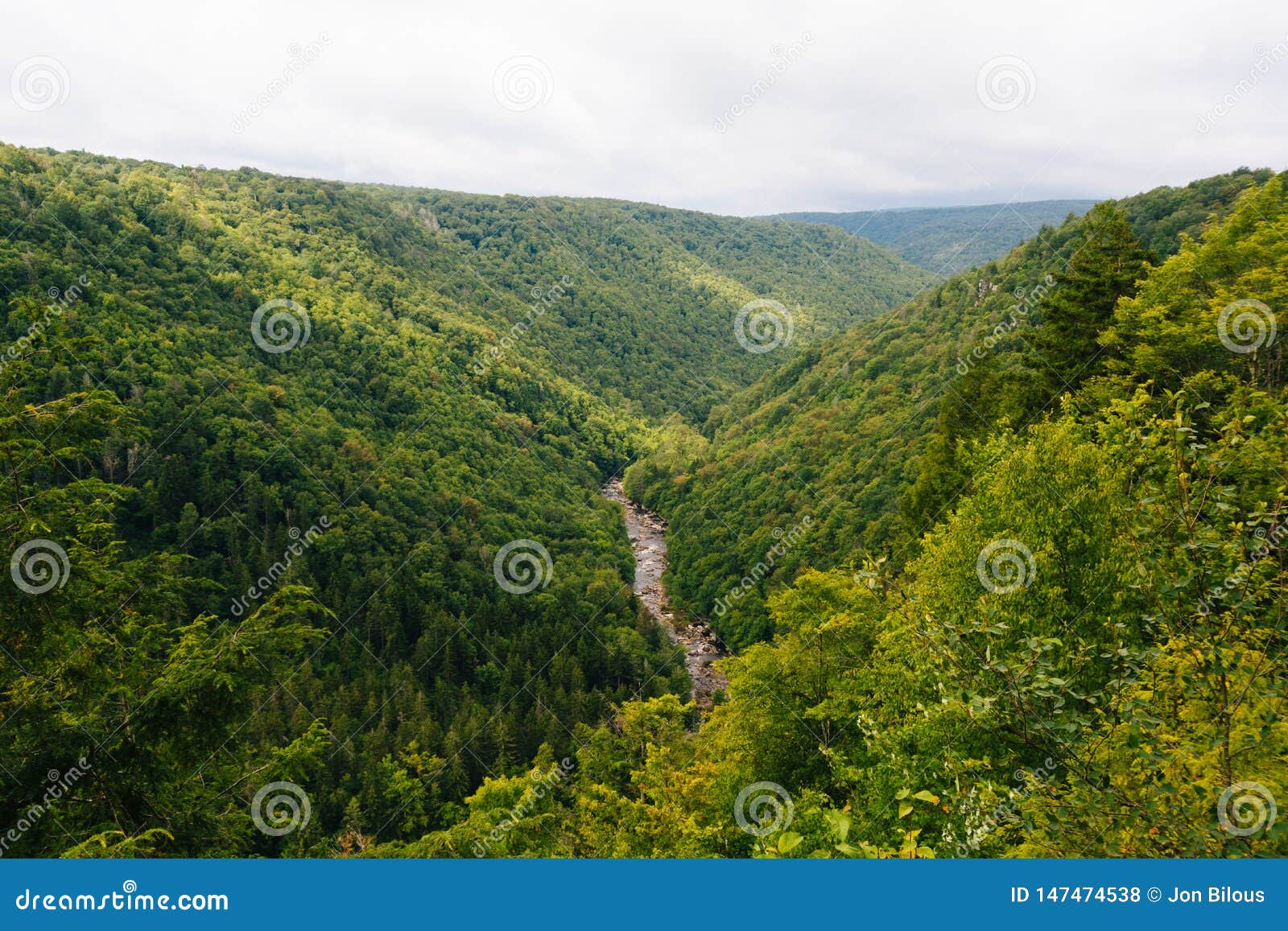 View from Pendleton Point, in Blackwater Falls State Park, West ...