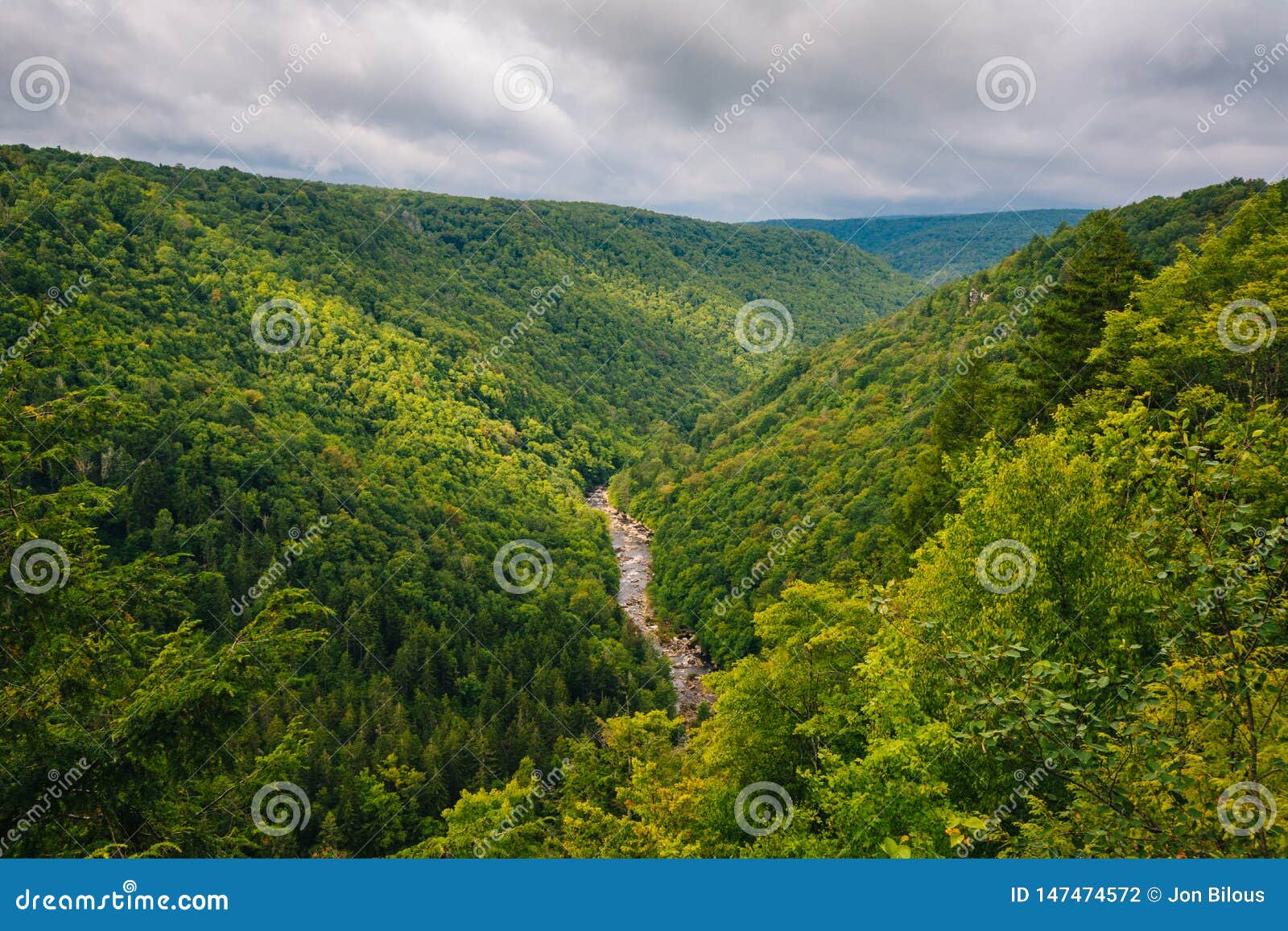 View from Pendleton Point, in Blackwater Falls State Park, West ...