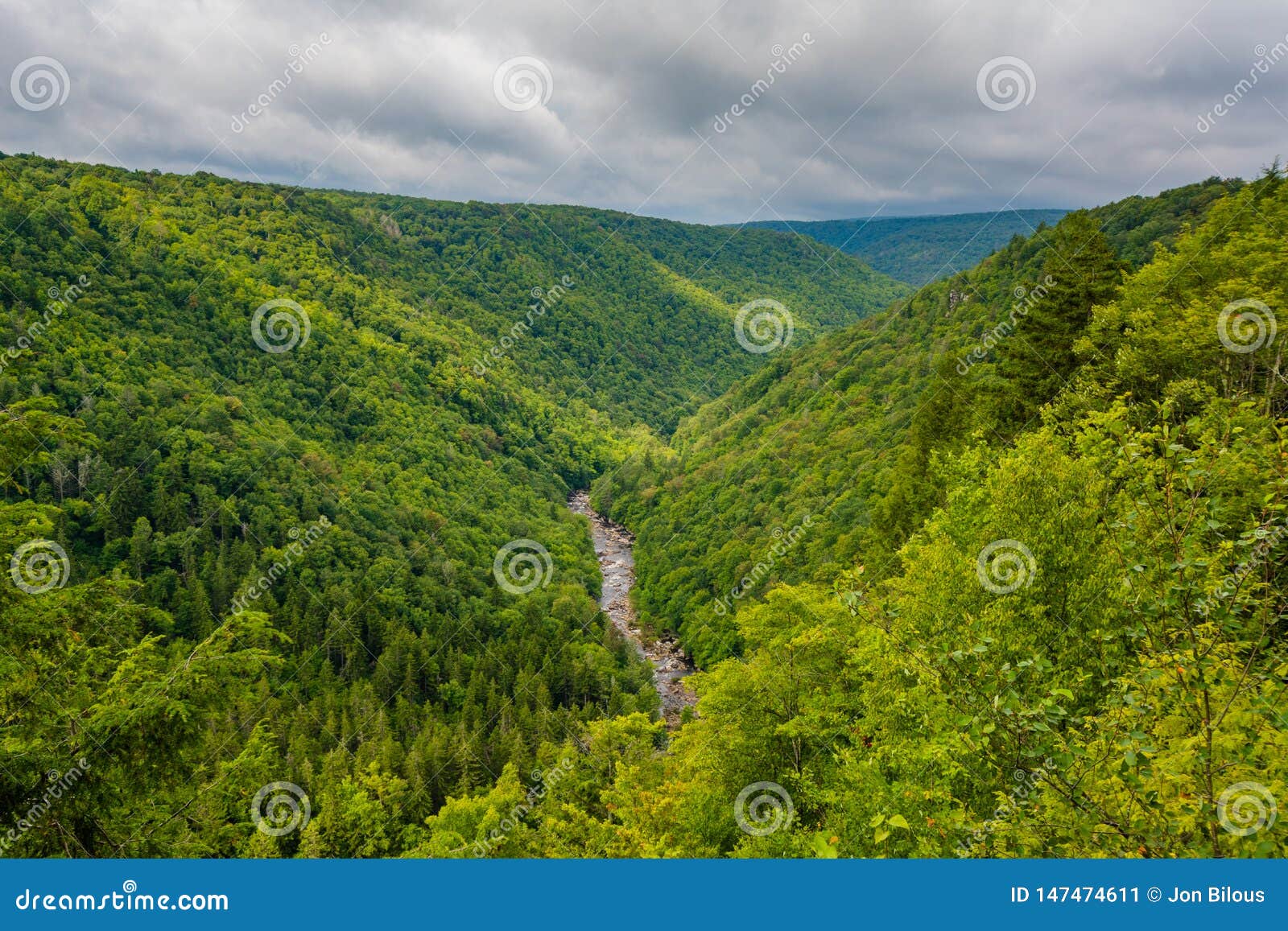 View from Pendleton Point, in Blackwater Falls State Park, West ...