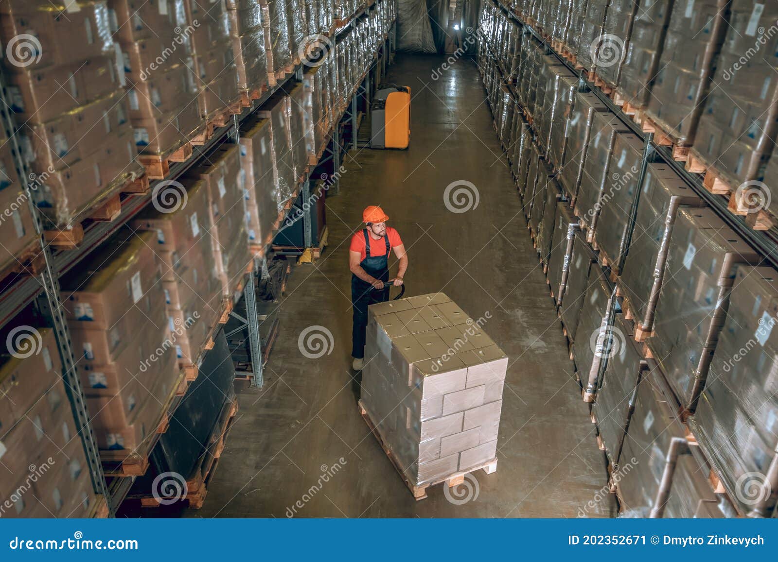 View of a Person in Megastore with Lots of Containers on the Shelves ...