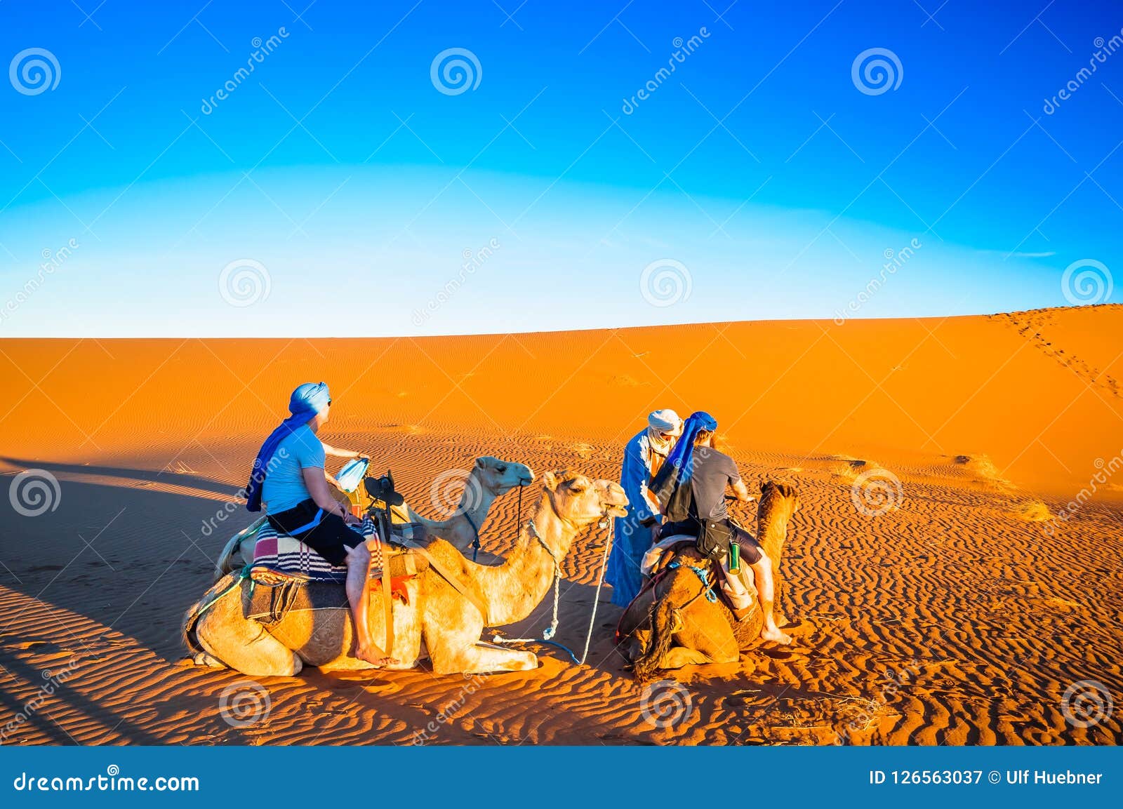 Persons Doing Camel Trek in the Desert of Morocco Next To M`hamid ...