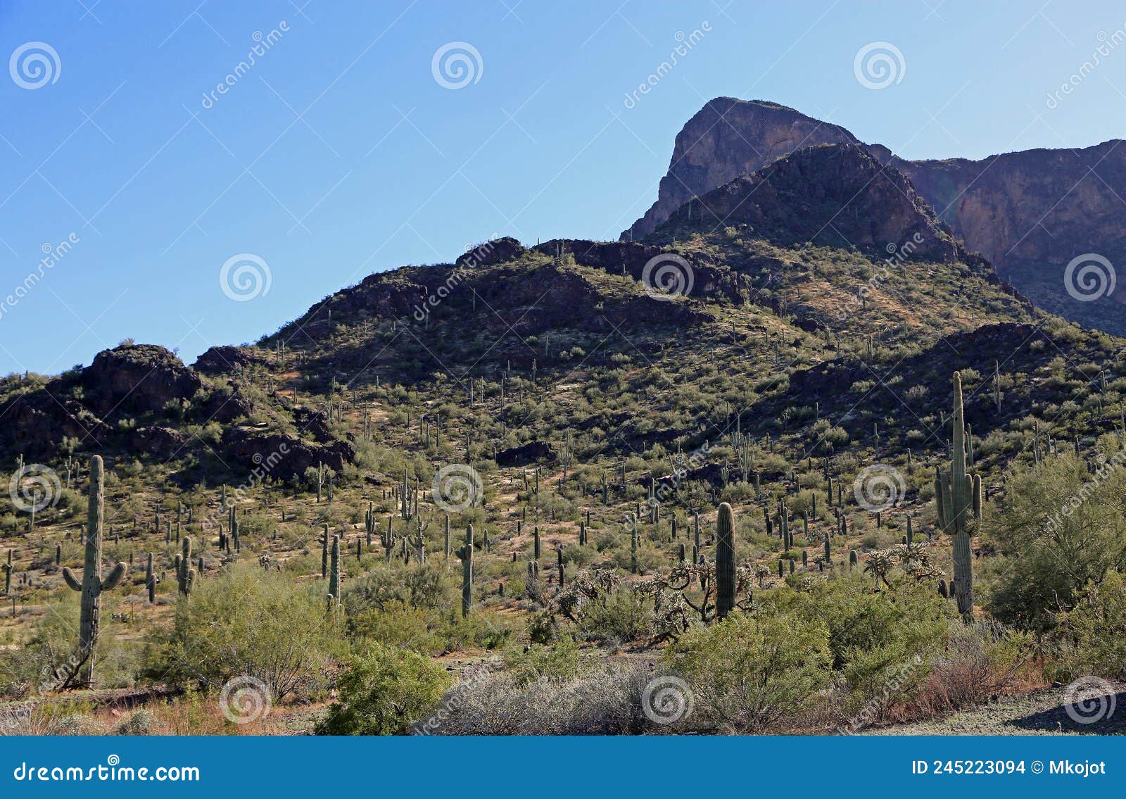 View at Picacho Peak stock photo. Image of cliff, park - 245223094