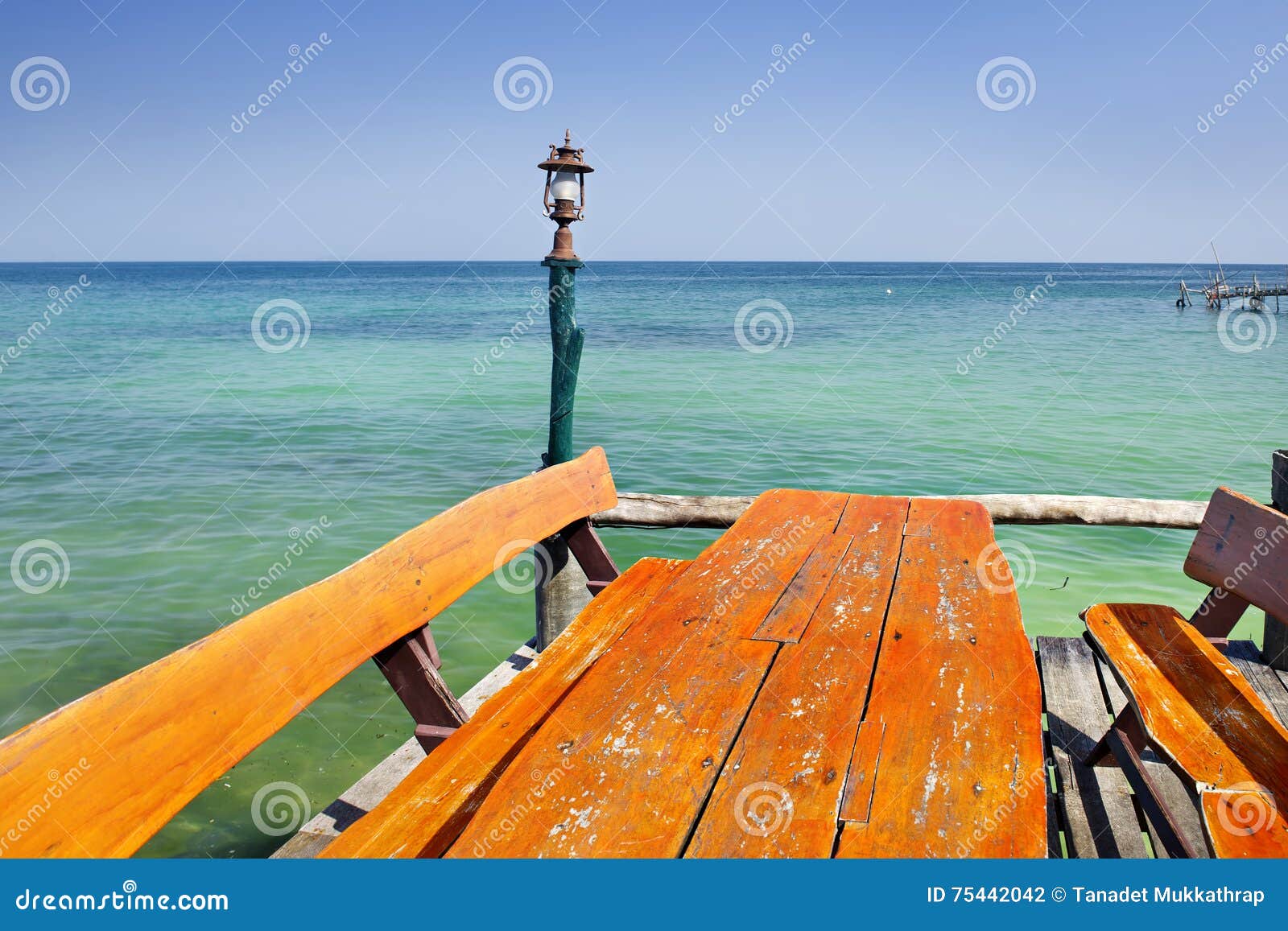 View from a picnic table stock photo. Image of picnic - 75442042